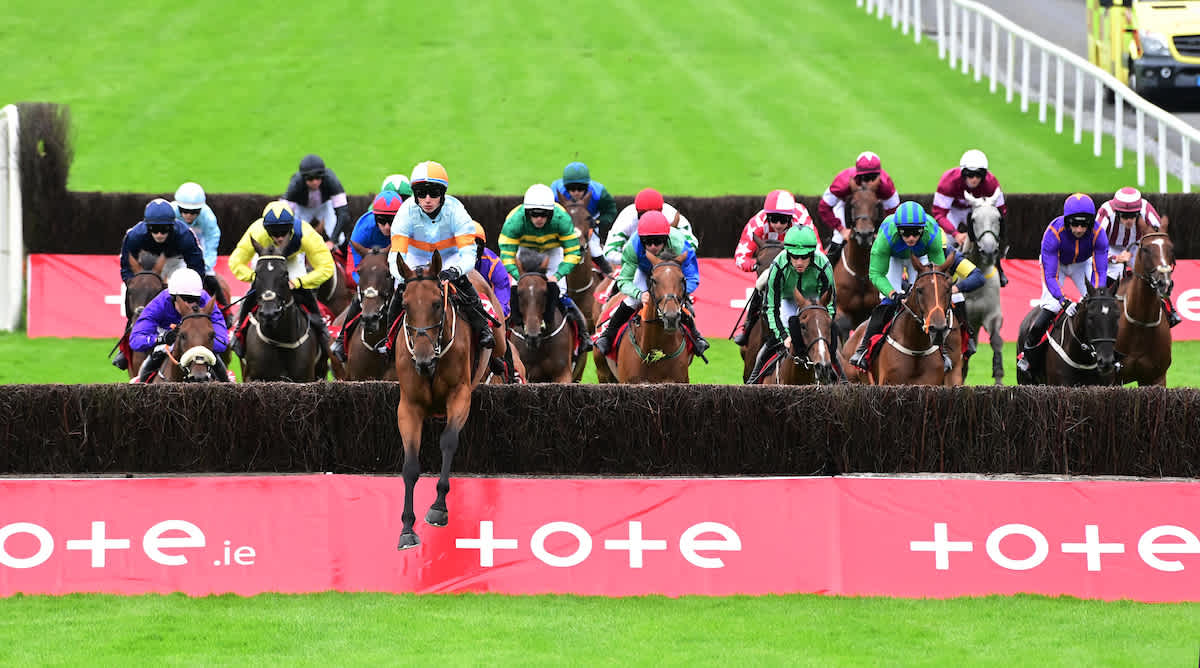 Galway Plate 1-2 on track for Kerry National rematch