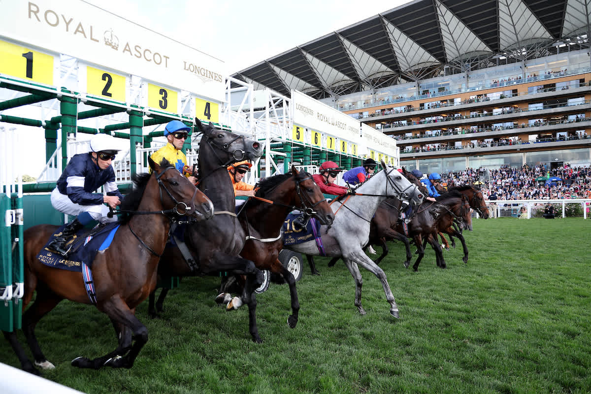 Royal Ascot tips: Dave Nevison's best bets for Friday