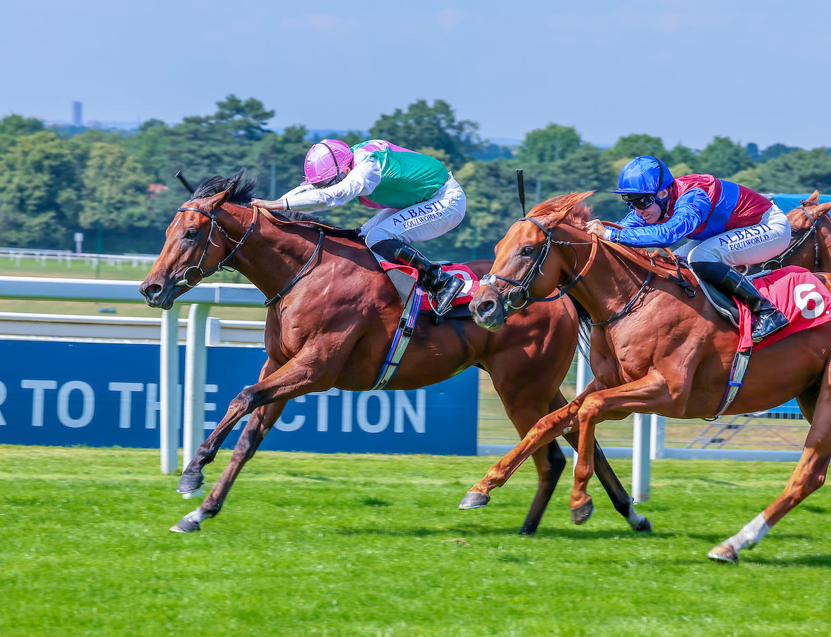 Connections harbour high hopes for Starlore