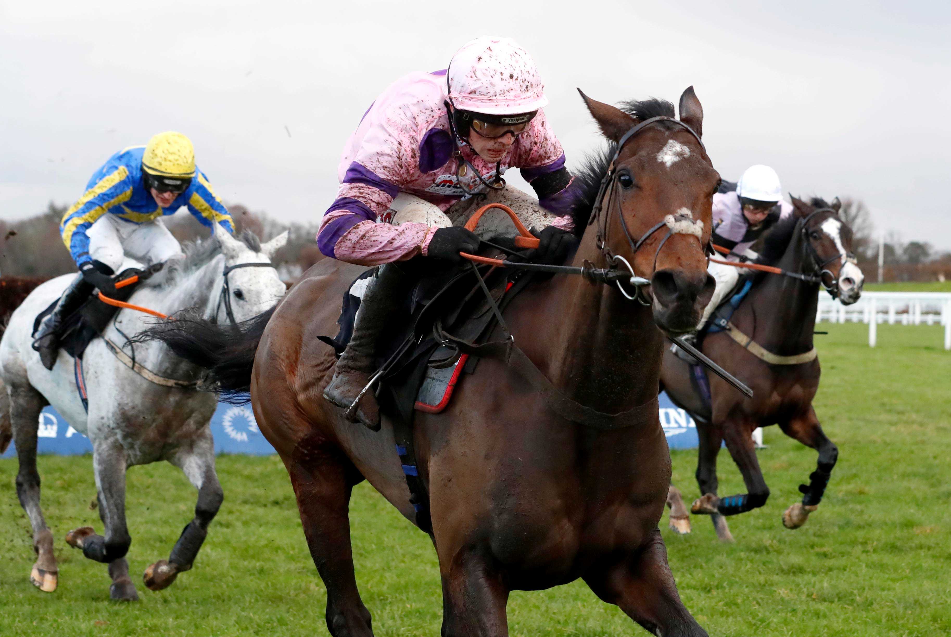 Five horses to keep the right side of on Haldon Gold Cup day at Exeter