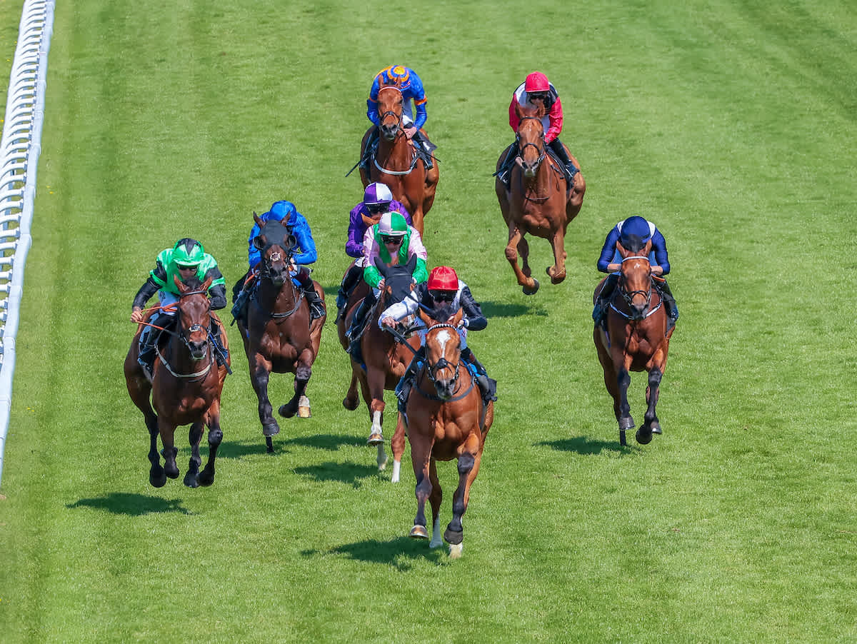 Al Shaqab Goodwood Cup: big-race guide and 20-1 tip