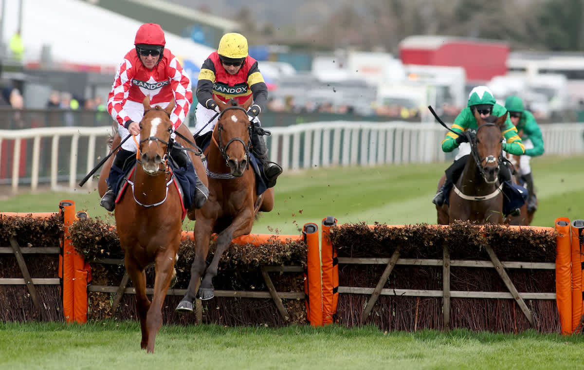 Drama as Knight Salute wins race in stewards' room after dead-heat