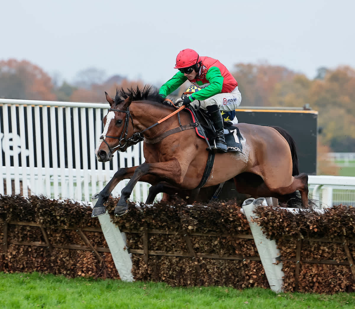 Paddy's Pick 5: our tips for Saturday's £/€50,000 game