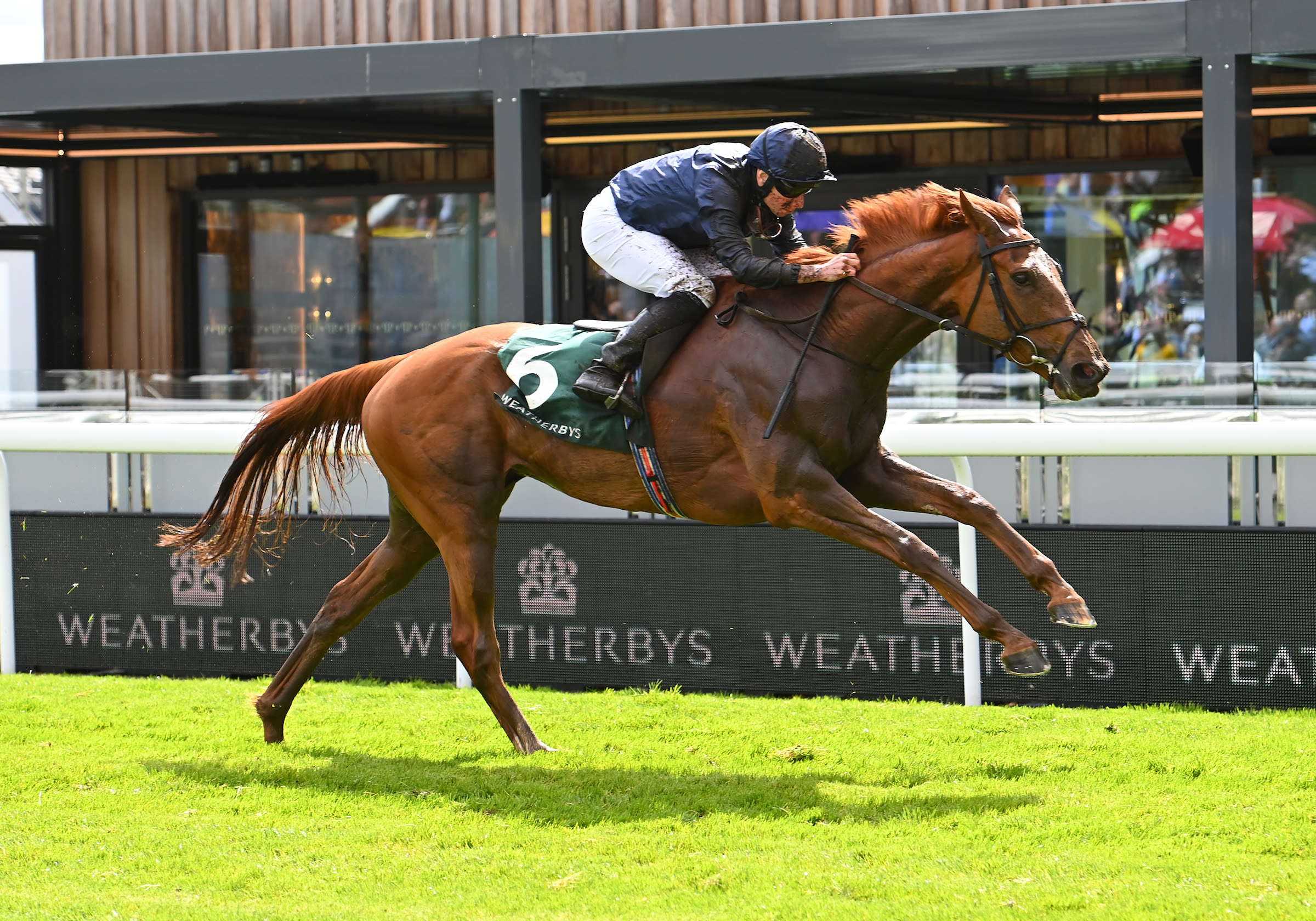 Tote Chester Cup: four key runners who are proven in the mud