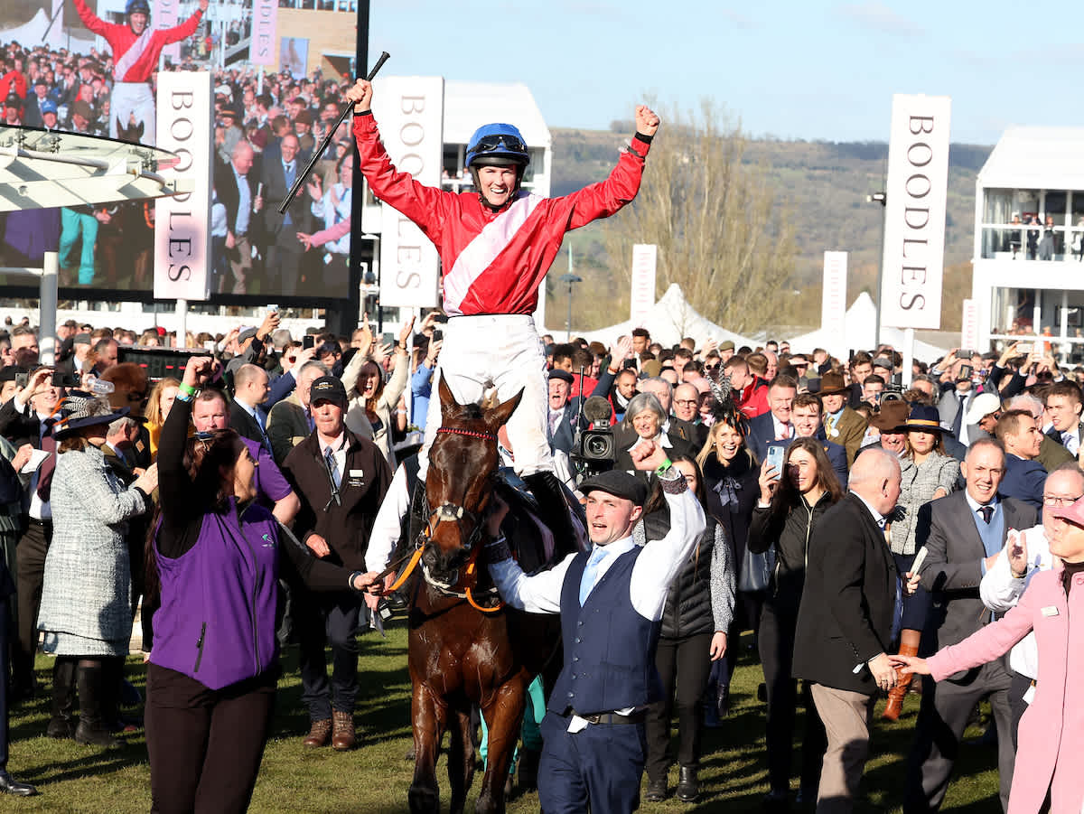 Boodles Cheltenham Gold Cup: runner-by-runner guide and tip