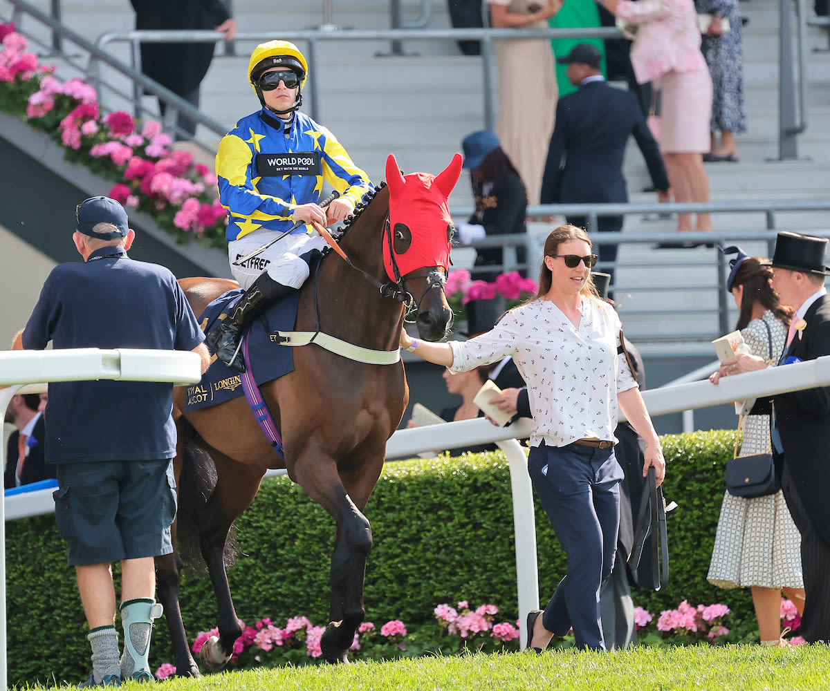 John Smith's Cup: Kublers out to rule with Astro King