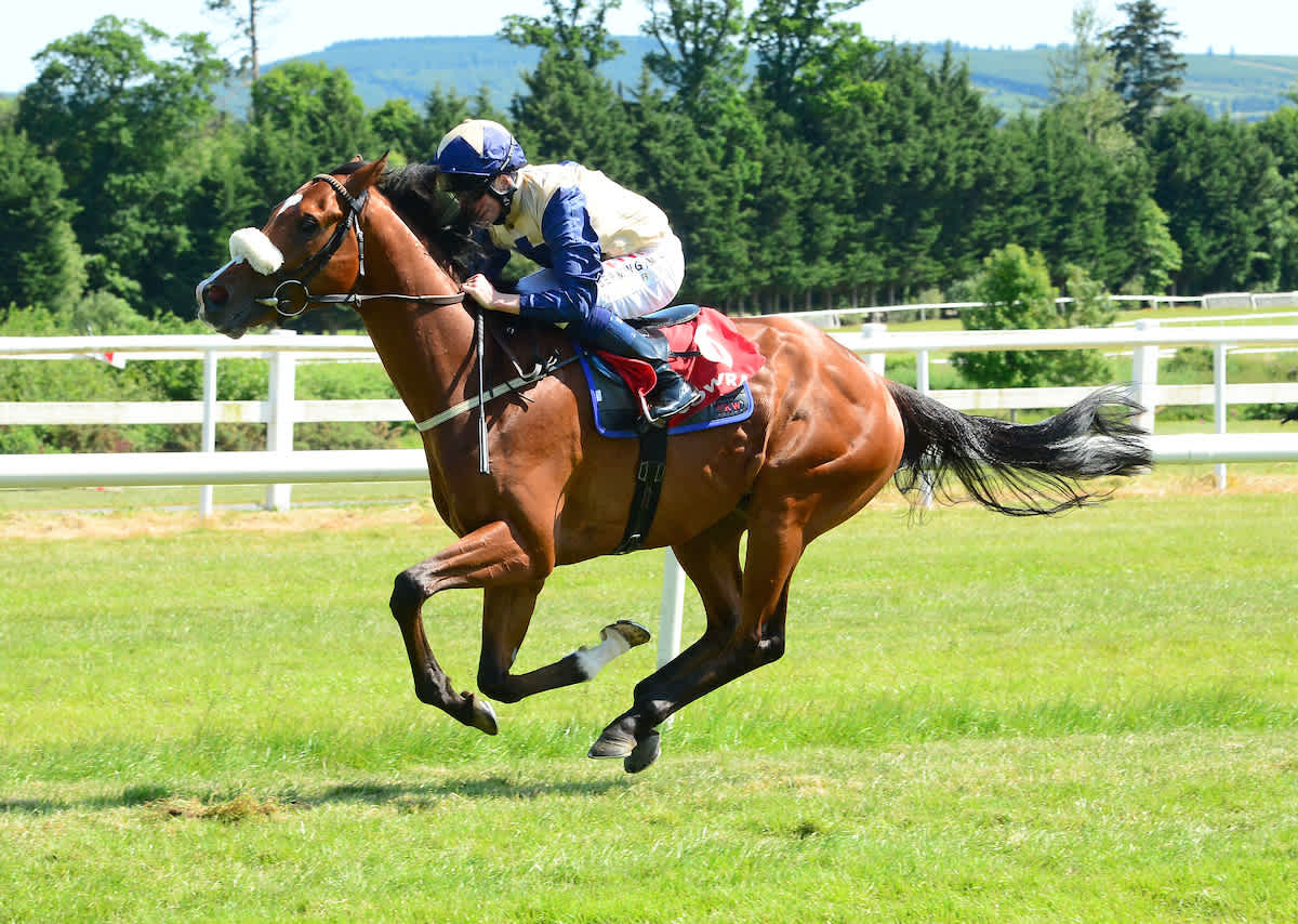 Gowran report: Knight To King impresses on debut for Weld