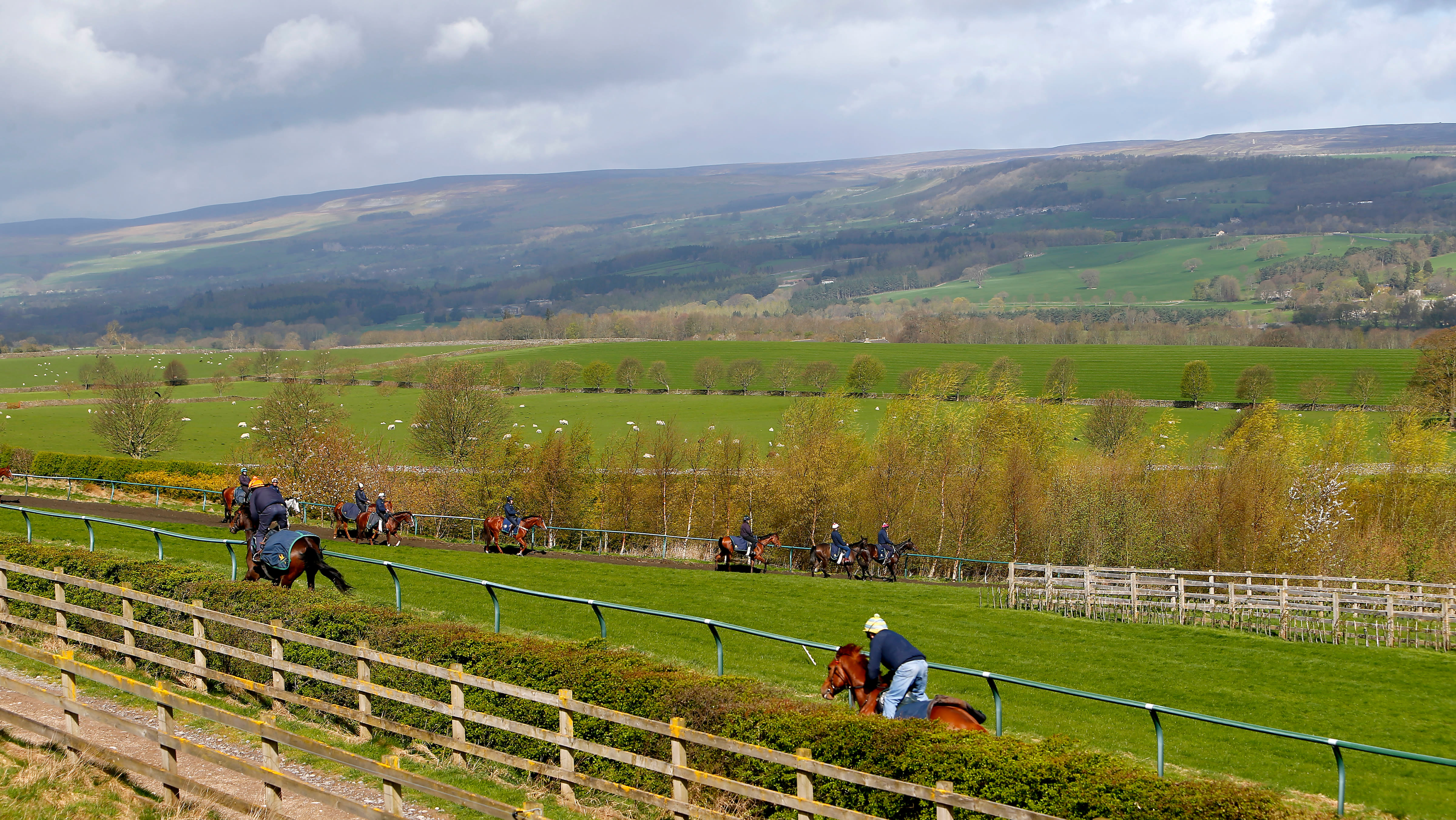 The Big Read: Mark Johnston on what it takes to become racing’s ...