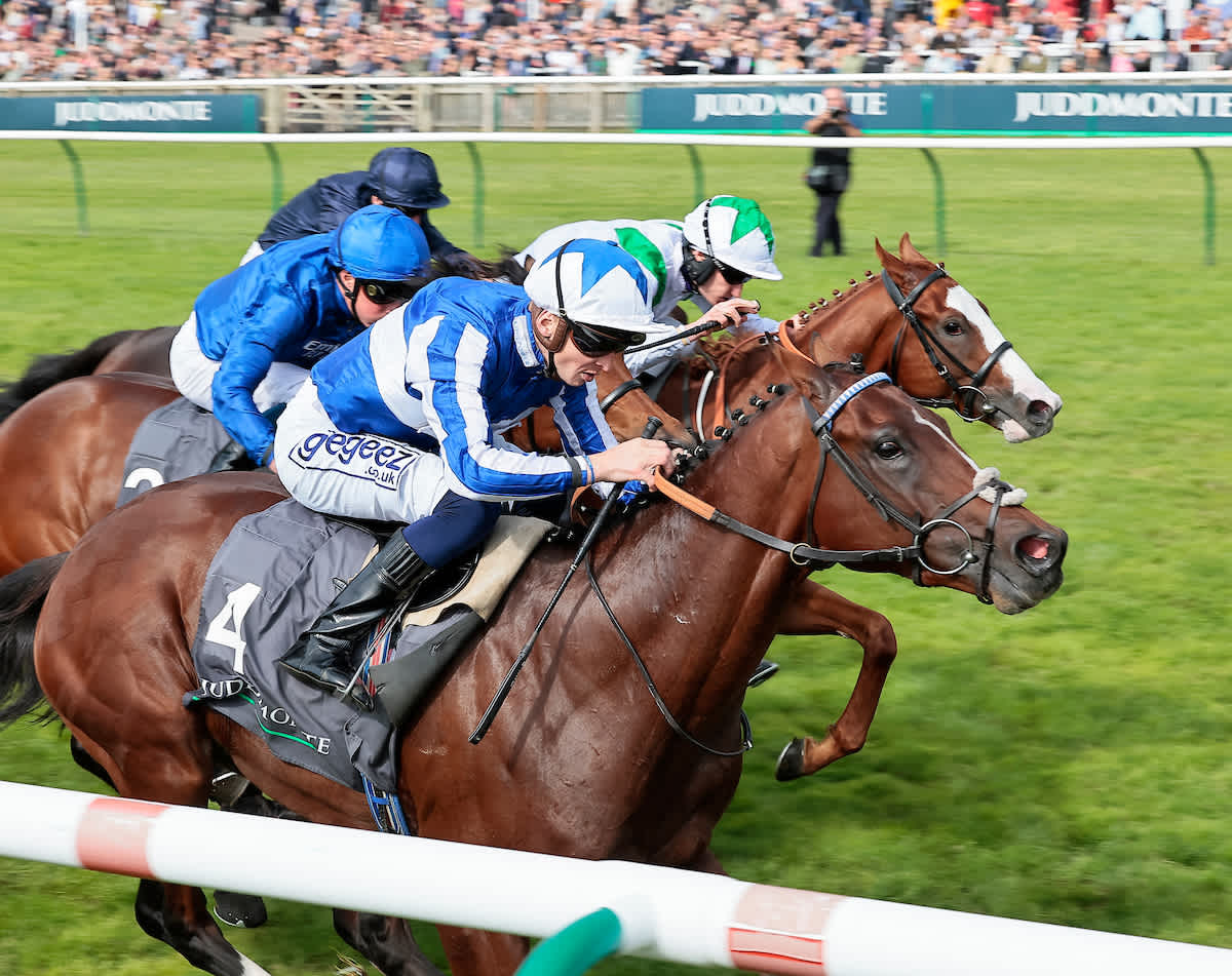 Racing Results | 15:10 Newmarket | Fri 3 Nov 2023