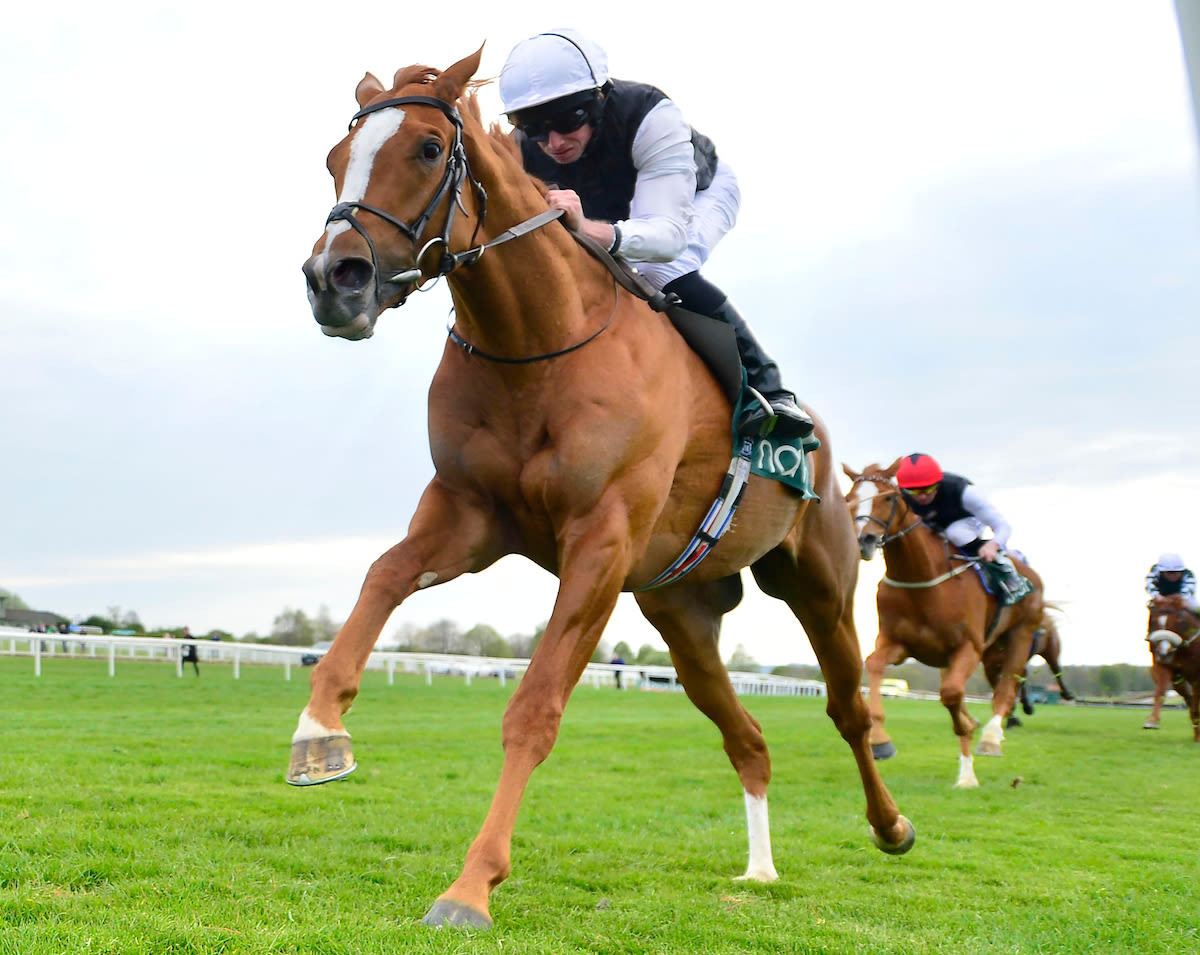 Kyprios out to continue tremendous campaign in Irish Leger
