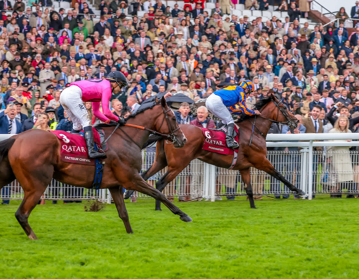 Prix du Moulin: Facteur Cheval seeks big-race compensation