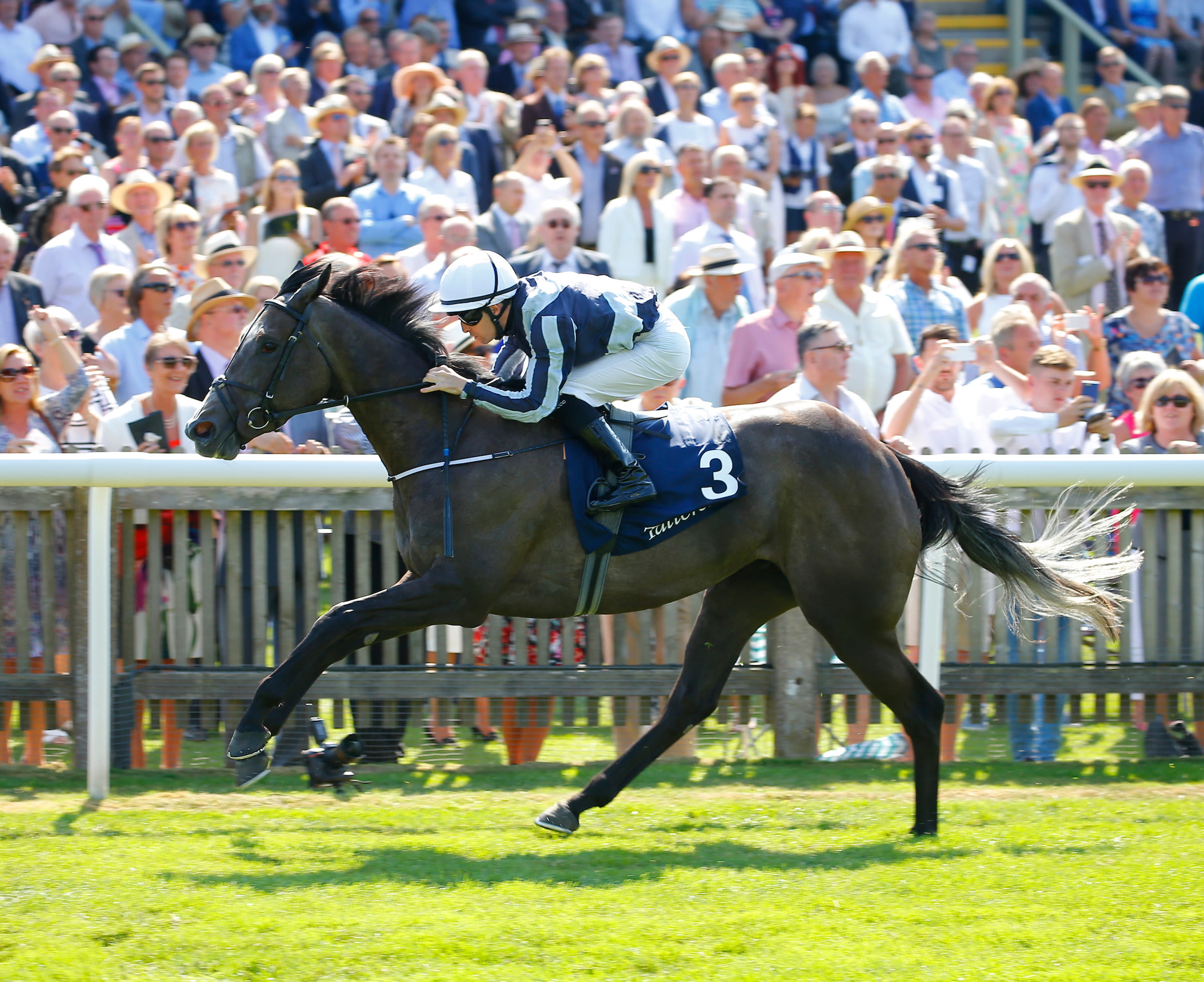 Alpha Centauri proves different league in Falmouth at Newmarket