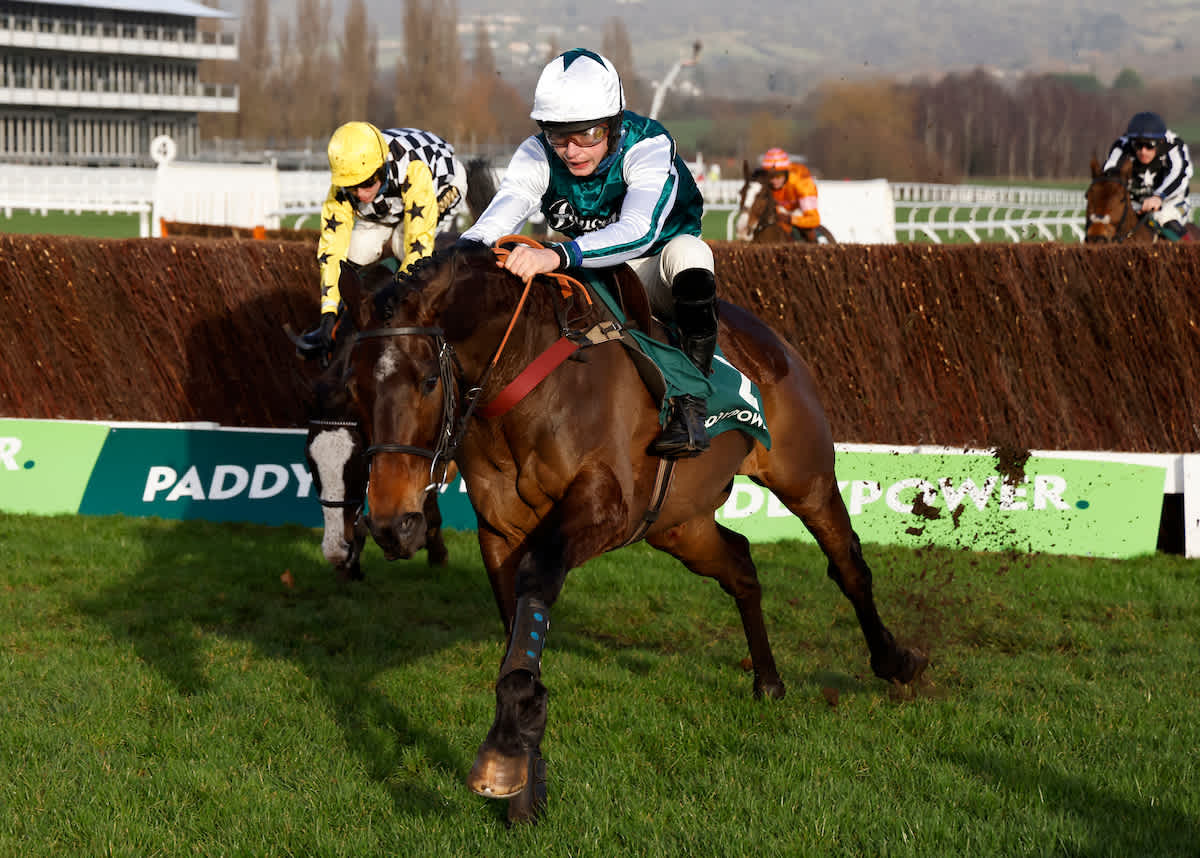 Ground to dictate Cheltenham target for L'Homme Presse