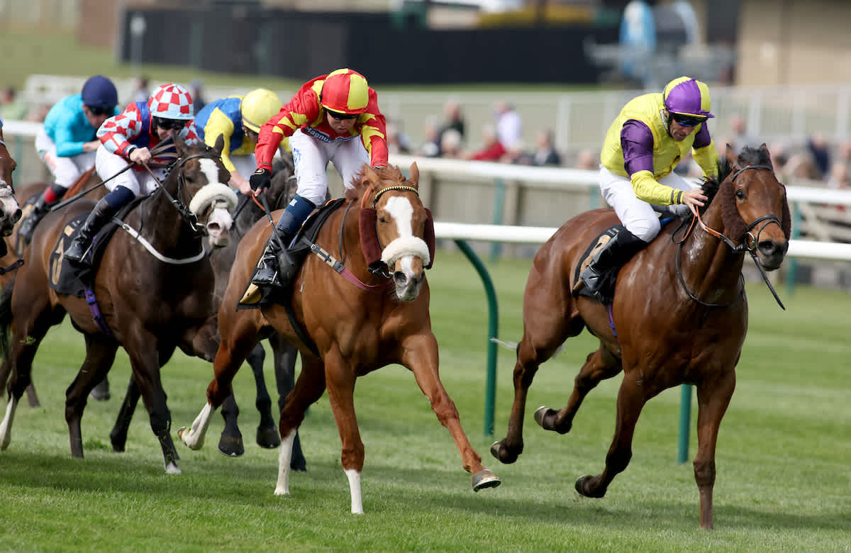 Horse racing tips for Sunday: Angus McNae's best bets