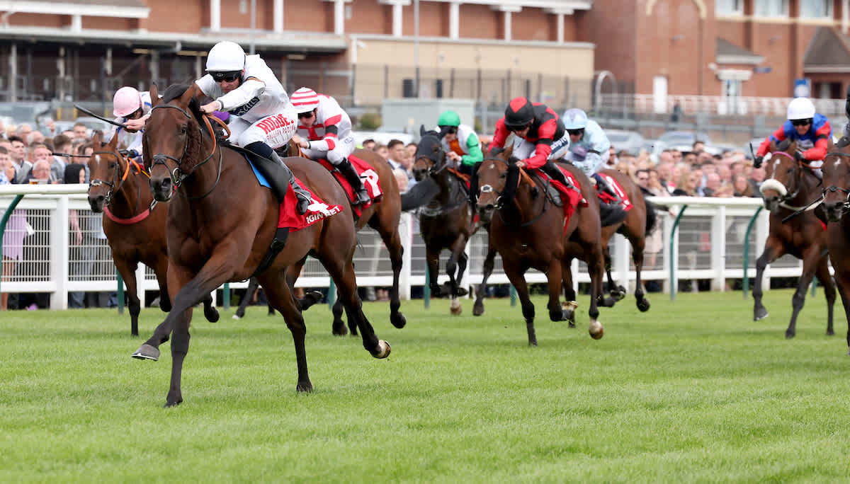 Horse racing tips for Friday: Dave Nevison's best bets at Ayr