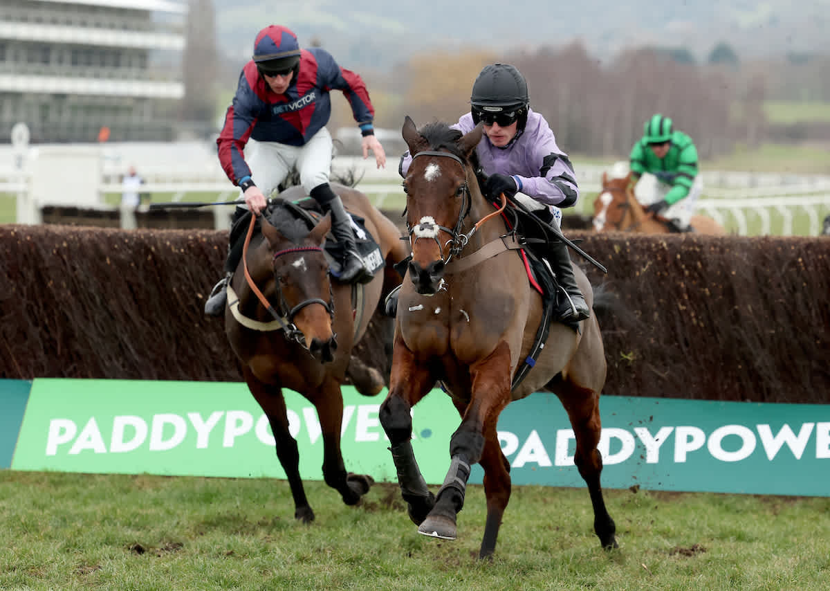 Cheltenham wrap: Stage Star kickstarts Nicholls treble