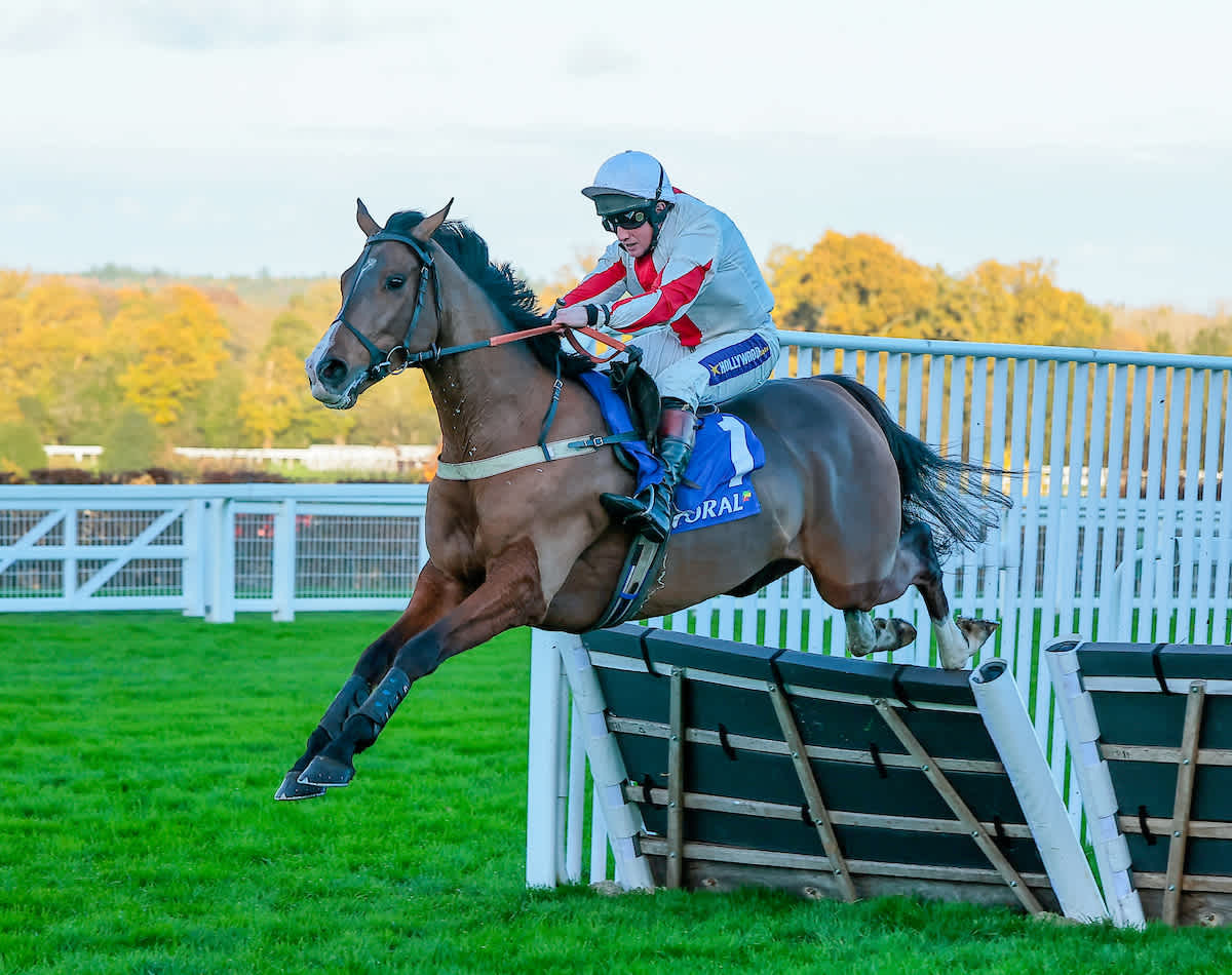 Jamie Moore: four to follow from our stable in 2023/24