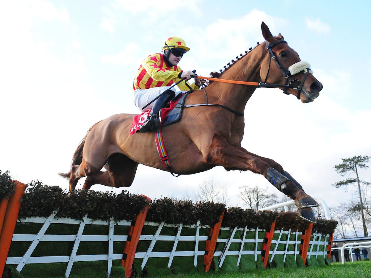 Klassical Dream fluffs lines as Royal Kahala shines in Galmoy Hurdle