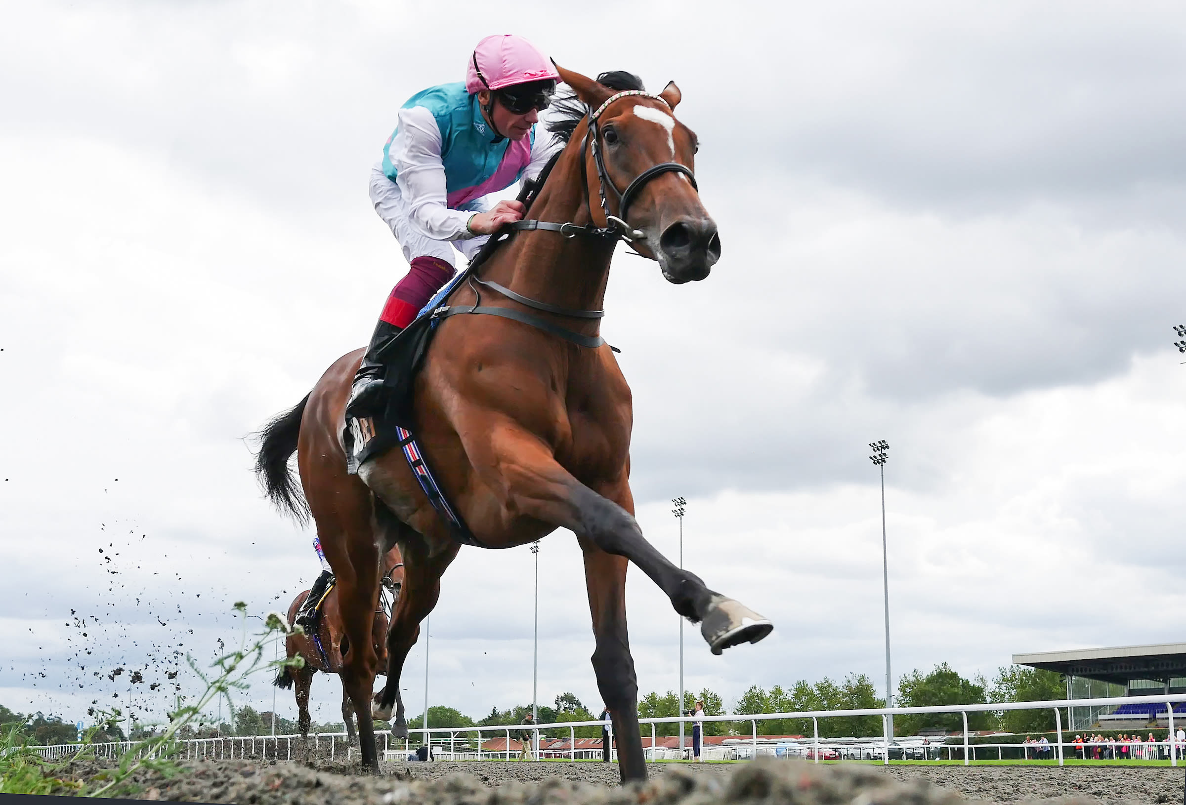 Rab Havlin on the mighty Enable: “She’ll leave a big hole in the yard"