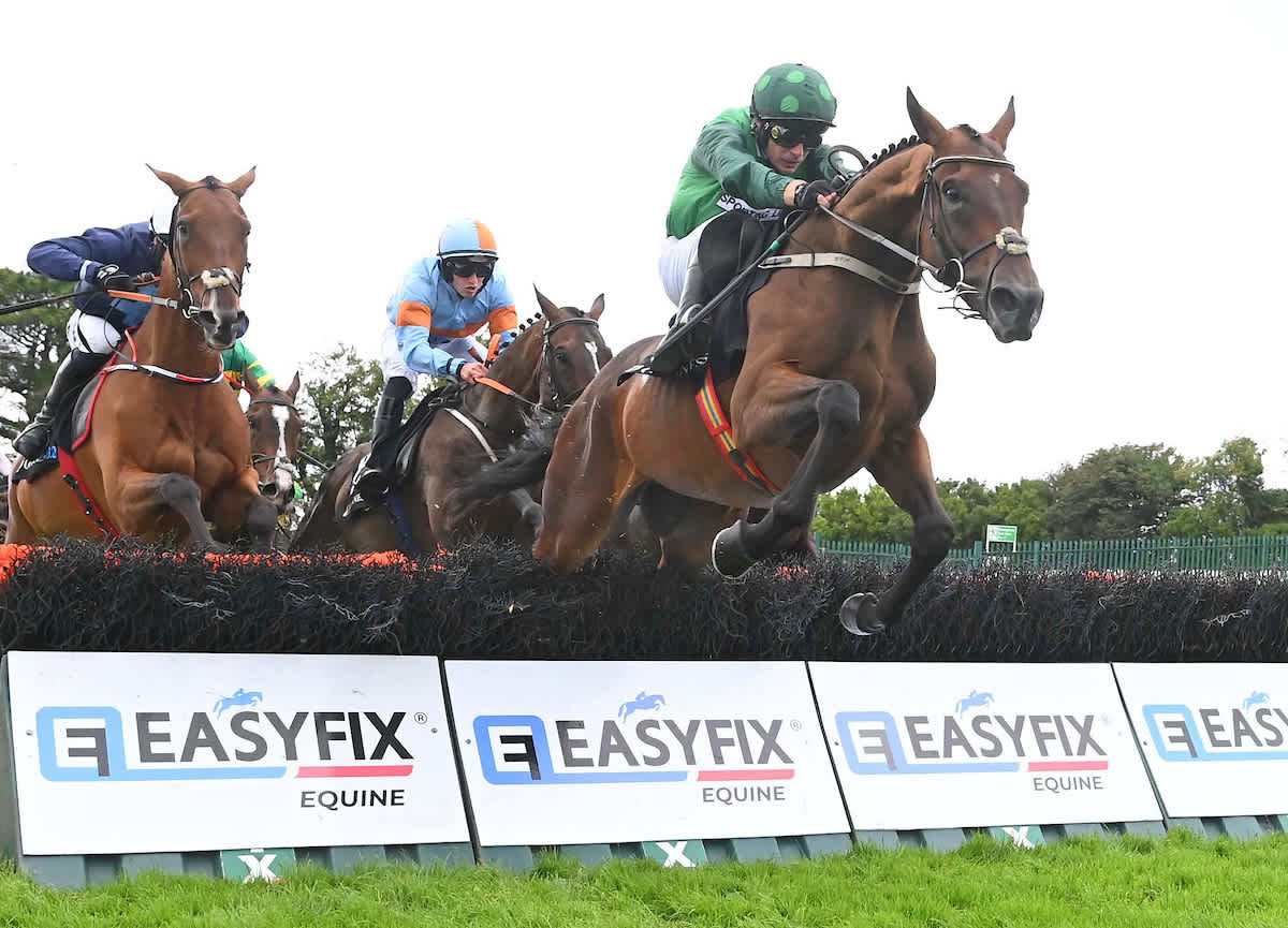 Mullins: Zarak The Brave could be a Champion Hurdle horse