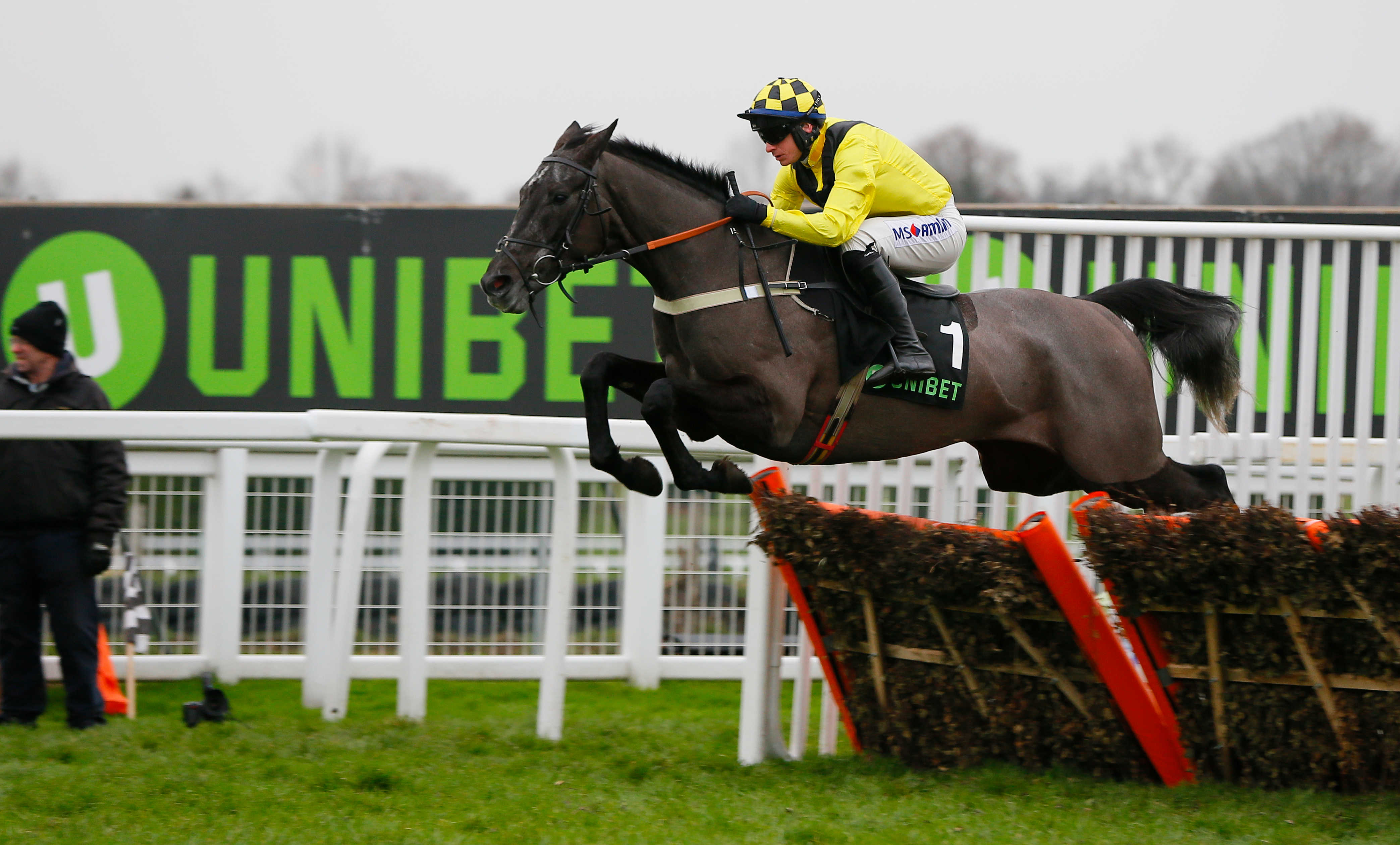 Elixir De Nutz fuels Terry Warner's dream with gutsy win in Tolworth Hurdle
