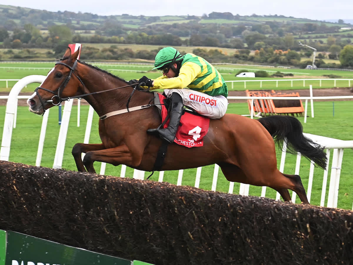 Adamantly Chosen added to Brown Advisory field