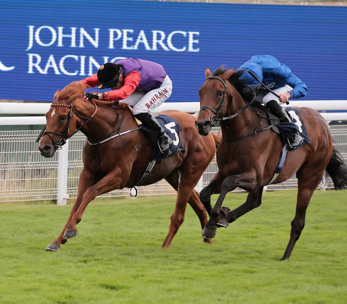 St Leger: "big day" with Desert Hero, says Marquand