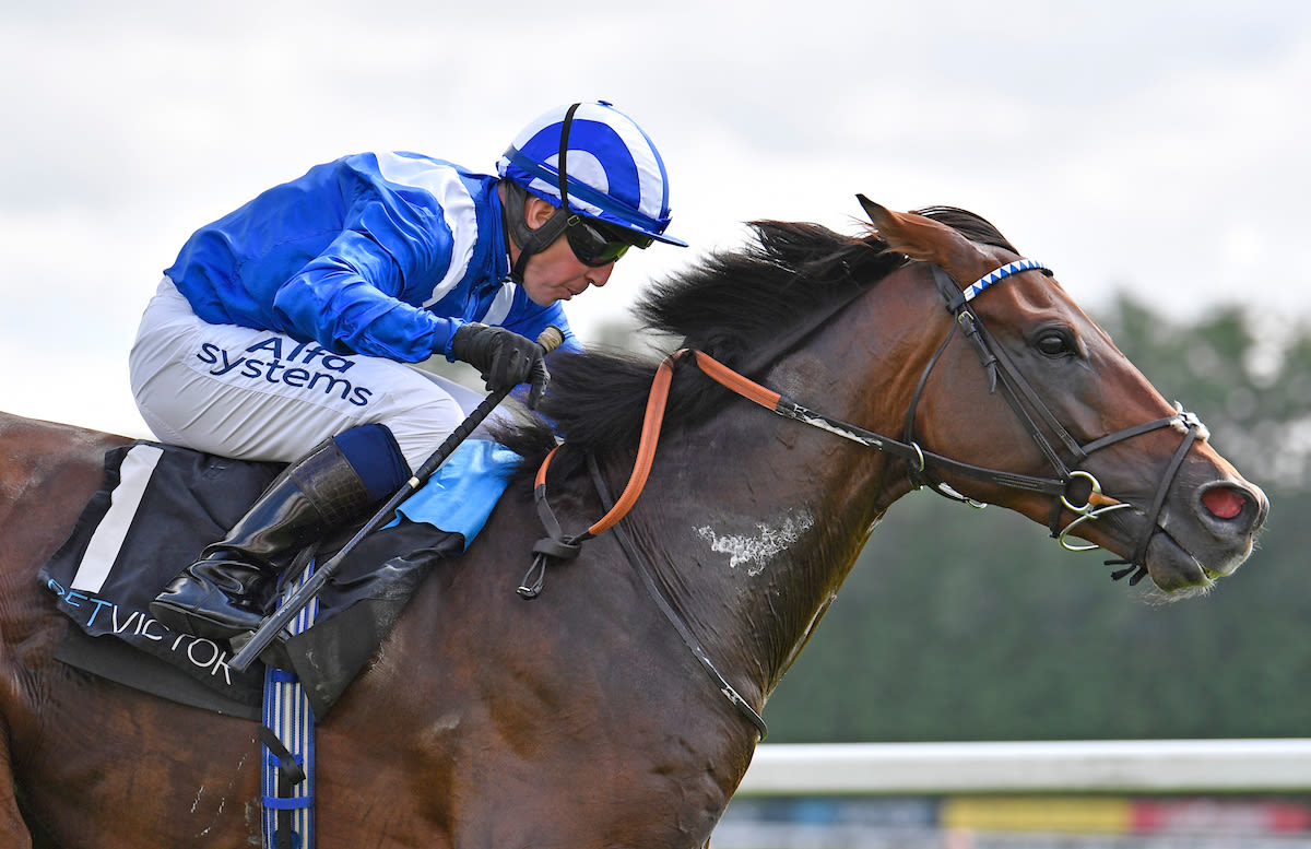 King George VI and Queen Elizabeth Stakes: big-race guide and tip