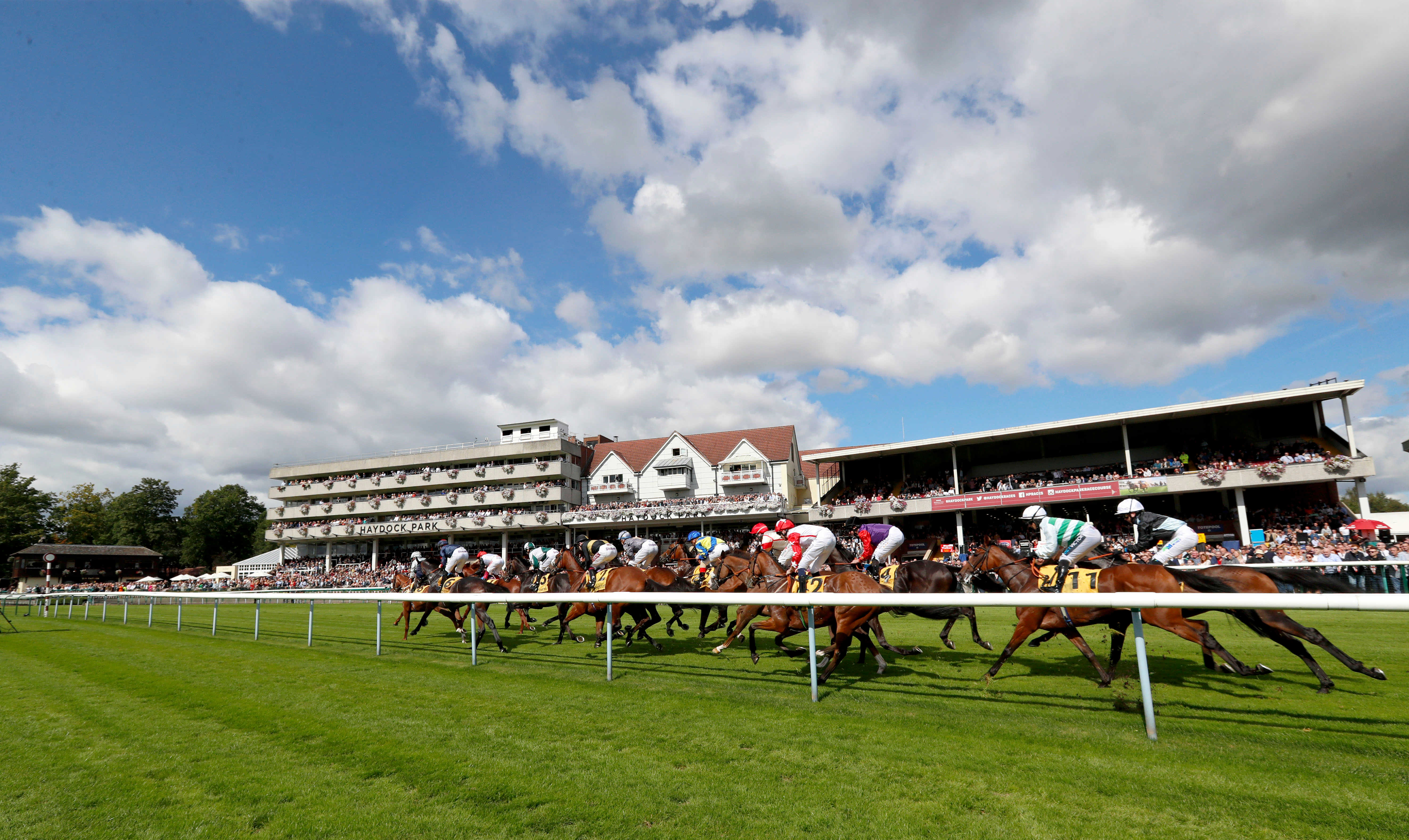 The Price Is Right: Davinci to make a big impression at Haydock