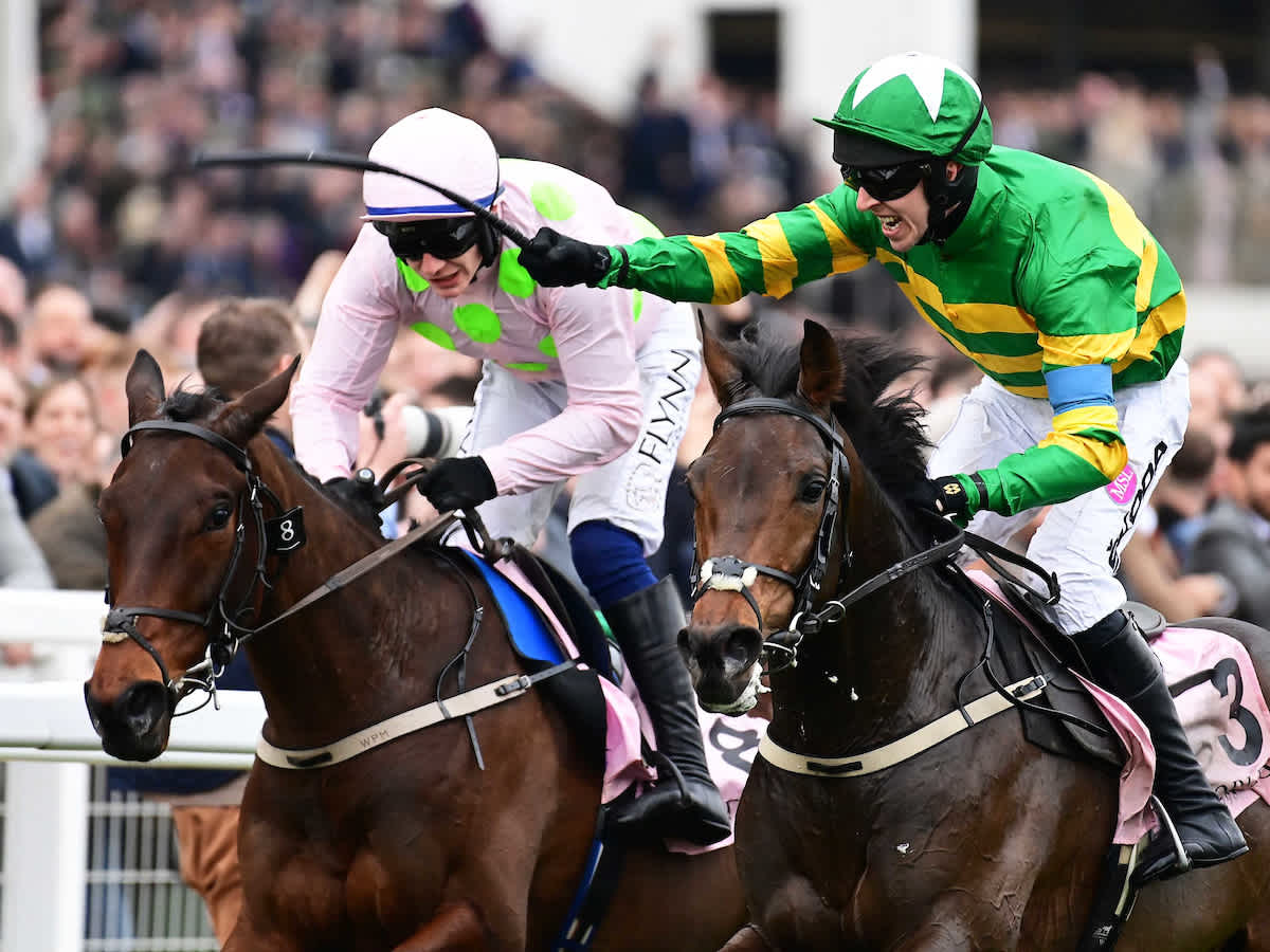 Angus McNae: my top tips for Leopardstown and Musselburgh