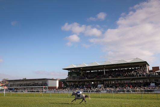 Warwick Racecourse: Today's Results & Betting