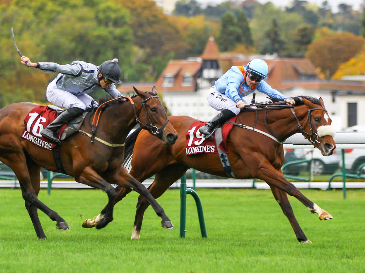 Varian expects The Platinum Queen to improve at Haydock