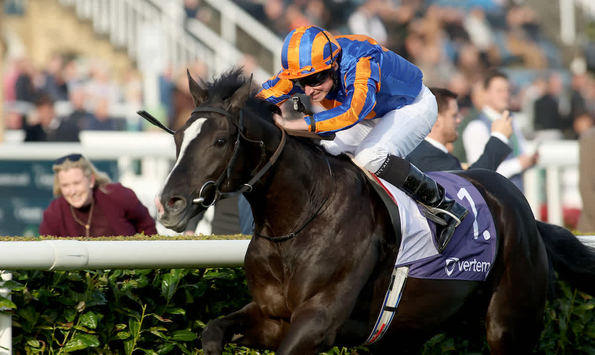 Auguste Rodin 4-1 for Derby after Vertem Futurity victory