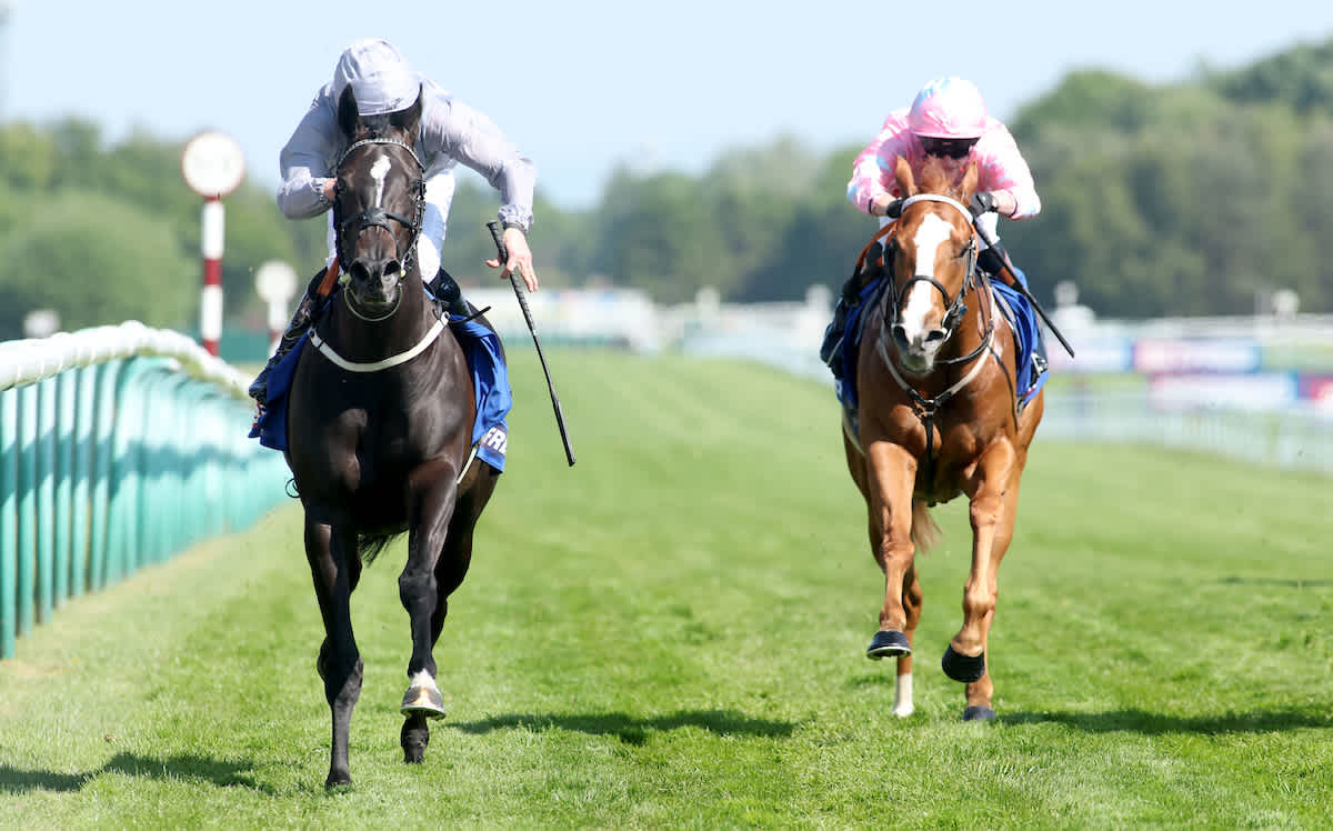 Dramatised powers to Temple Stakes glory at Haydock