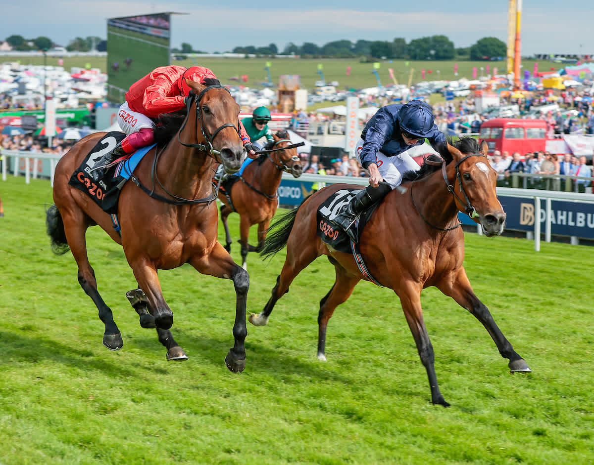 Dubai Duty Free Irish Derby runner-by-runner guide