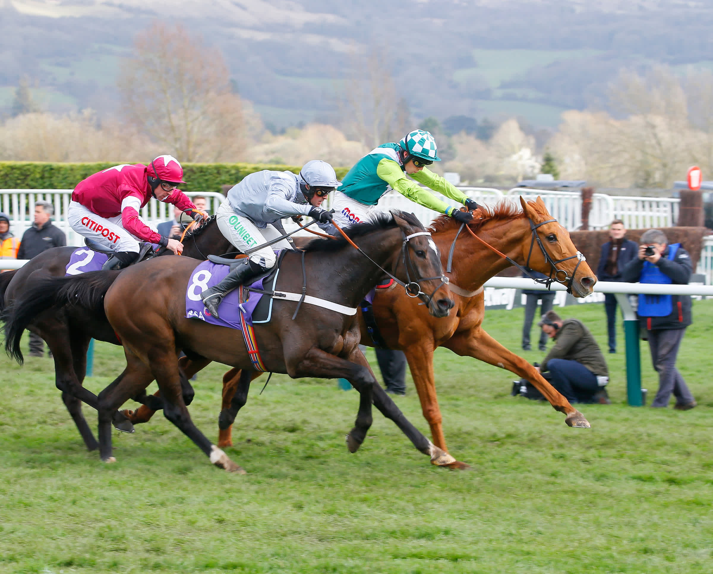 The 2019 Cheltenham Festival: Ten horses who caught the eye