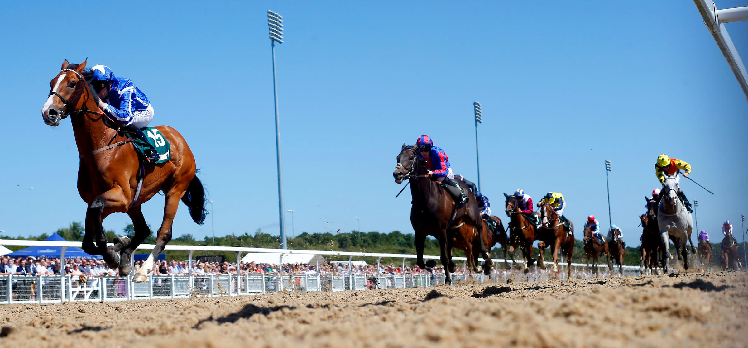 Withhold smashes Plate rivals to set up Melbourne dreams