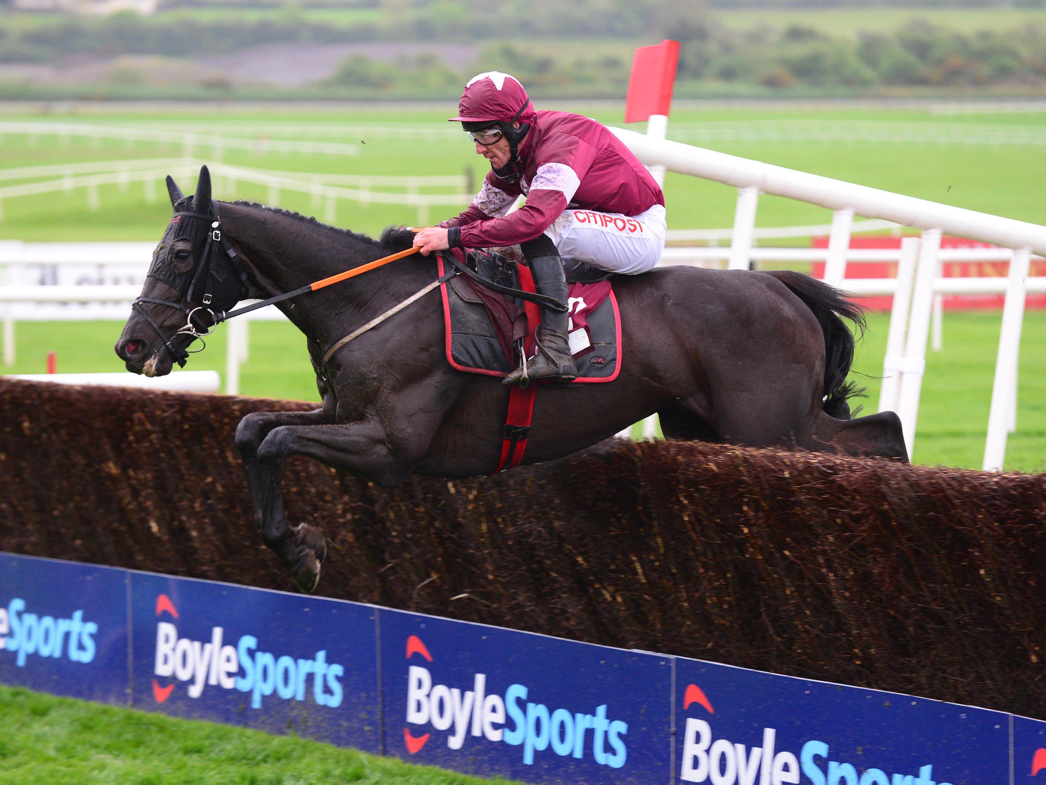 Johnny Ward's Irish Angle: Enjoy the View in finale to the Festival