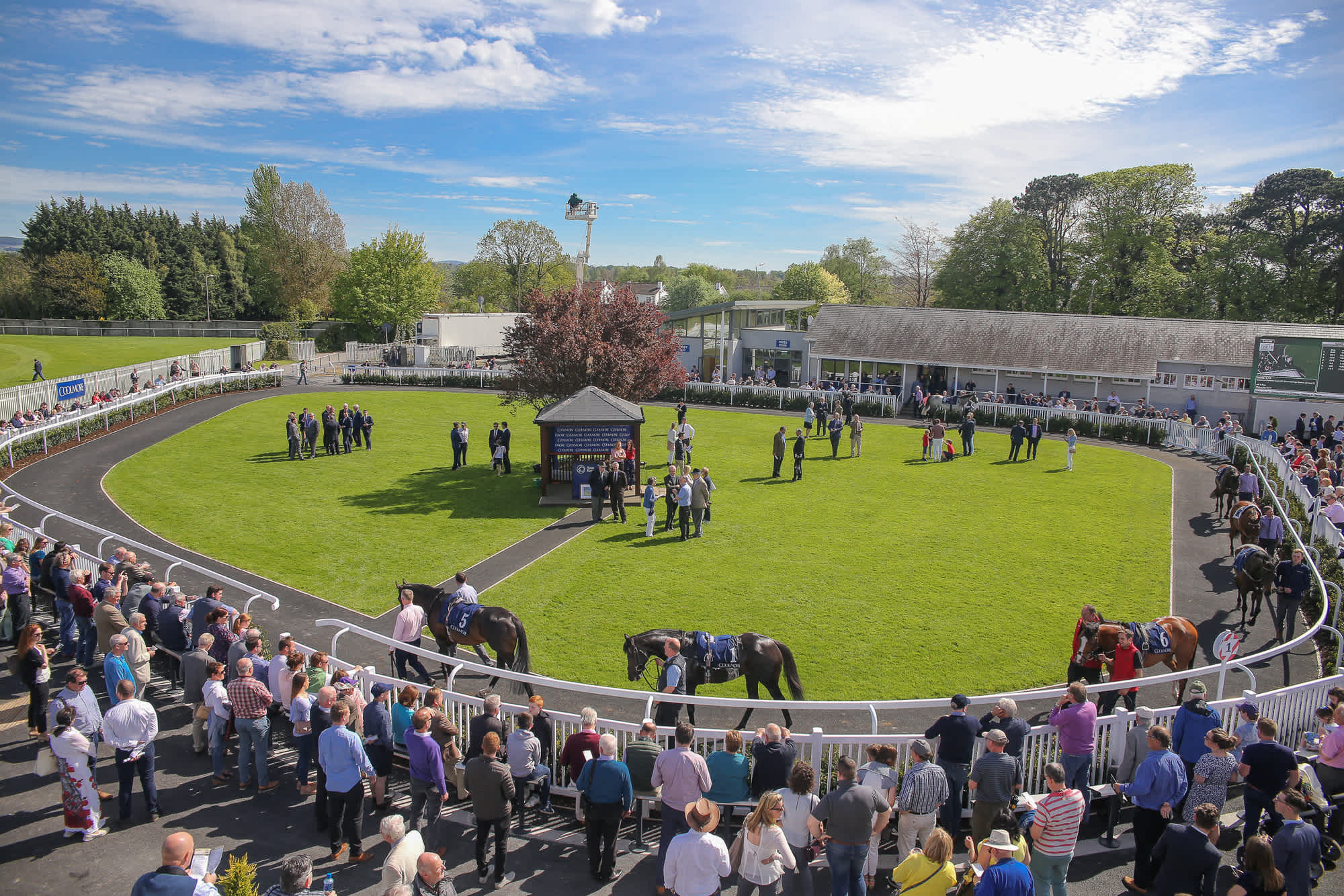 Johnny Ward's Irish Angle: Be My Dream looks the real thing