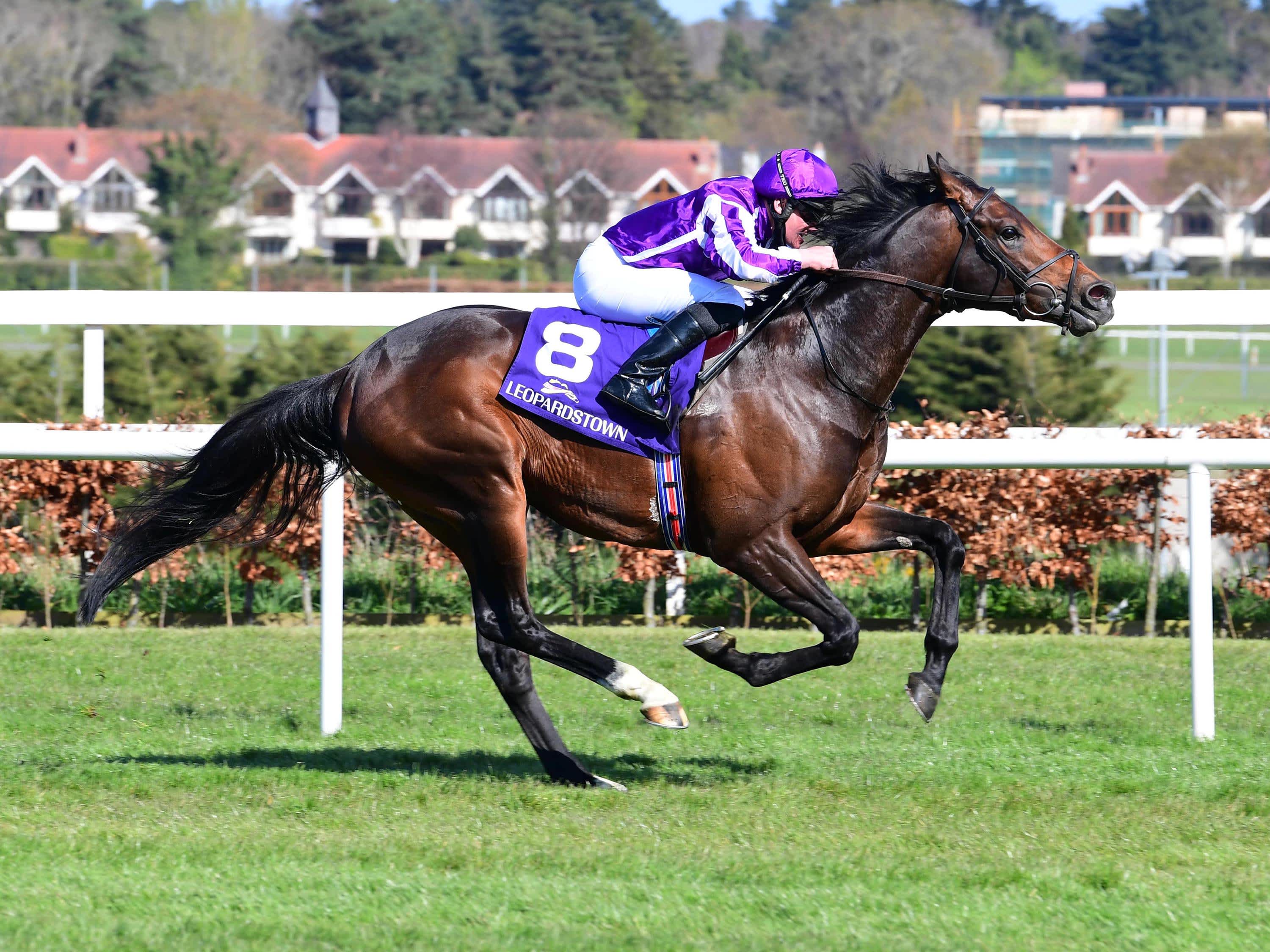 The Lockinge lowdown: A guide to the big race and suggested bet