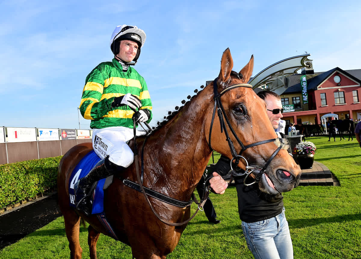 Winning start for Annie Power’s first foal Mystical Power