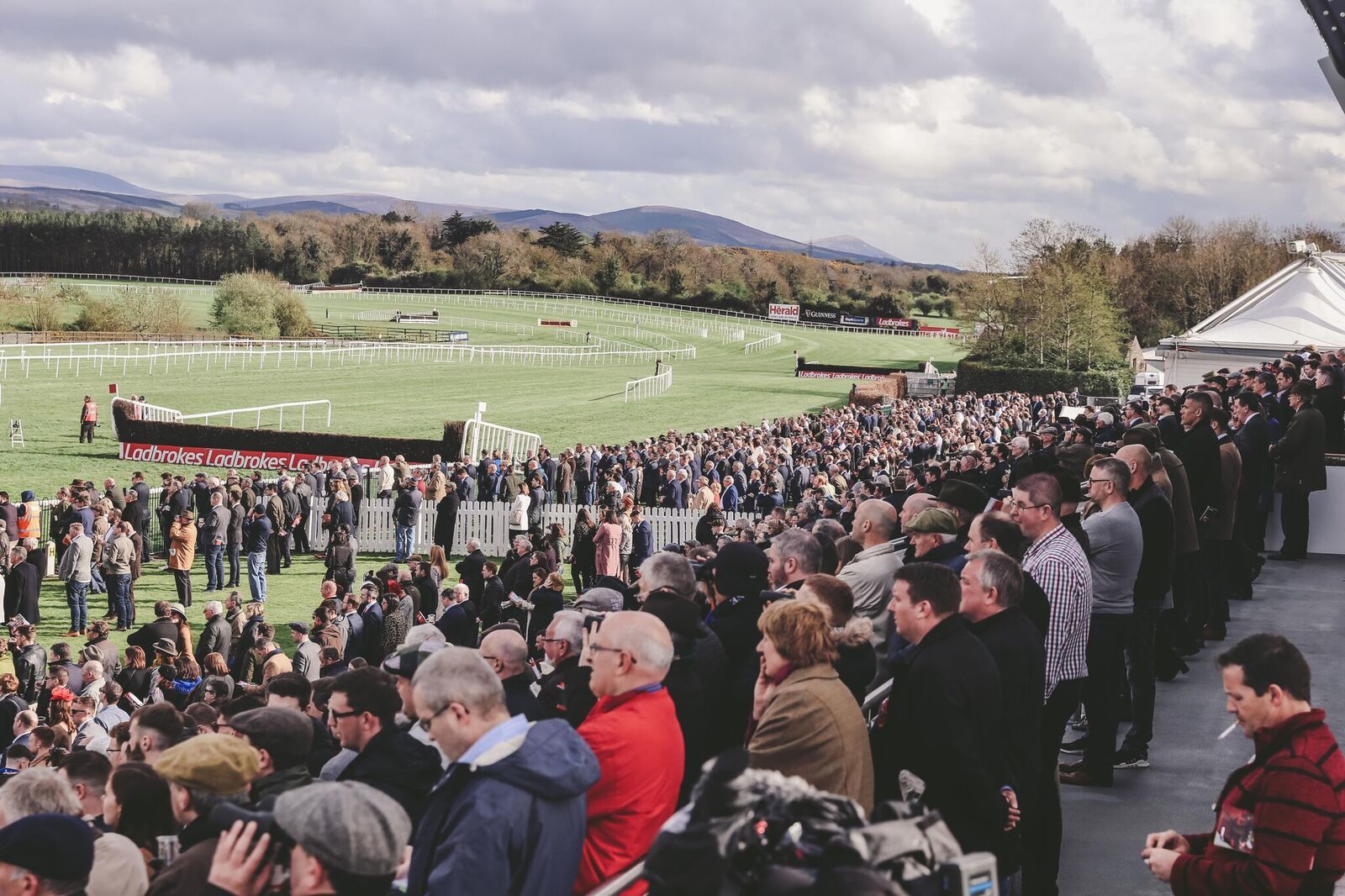 Johnny Ward's top tips for the 2019 Punchestown Festival