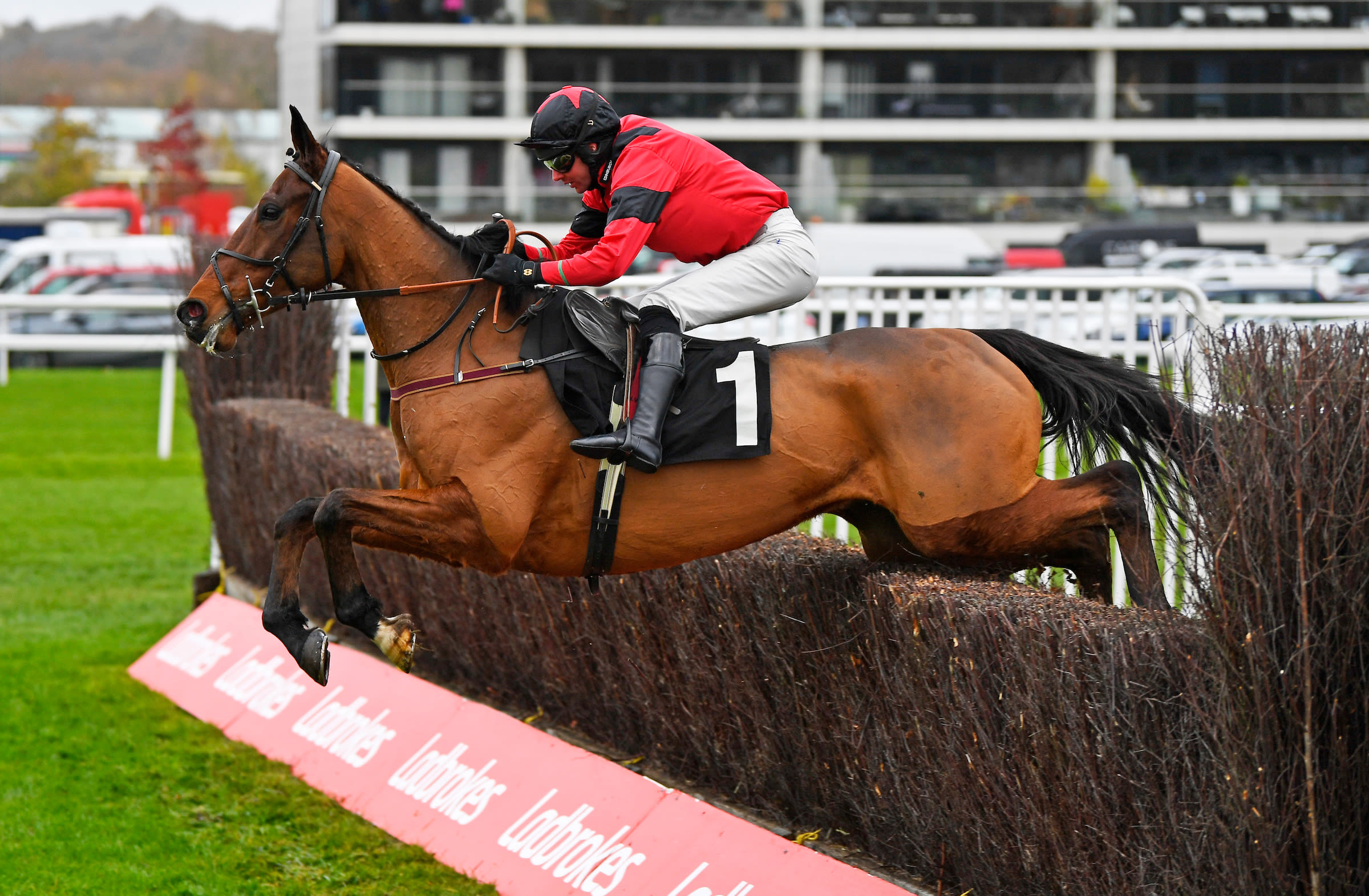 Bravemansgame and Ahoy Senor on course for Charlie Hall clash