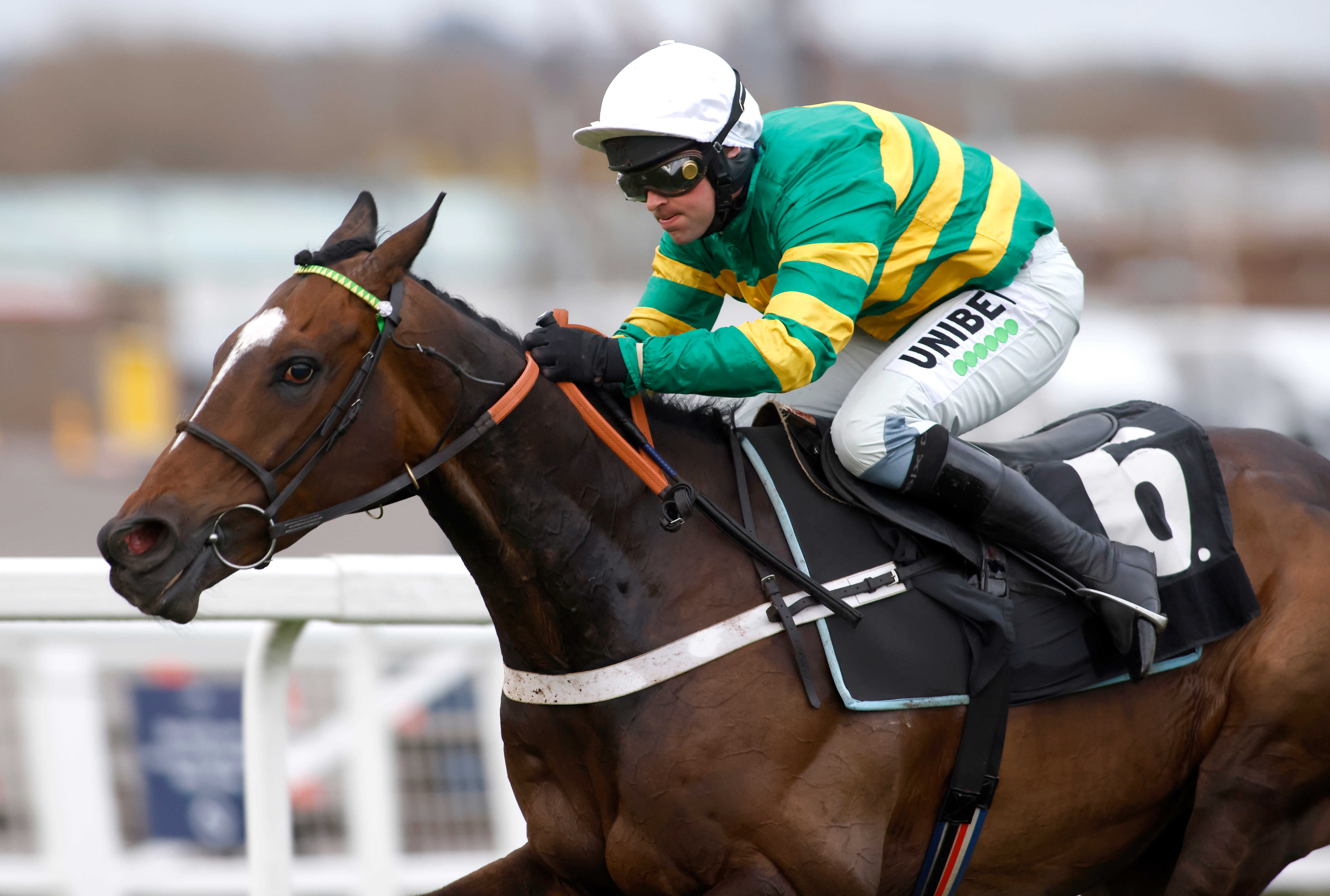 Newbury report: Douvan's brother Jonbon hits all right notes on debut