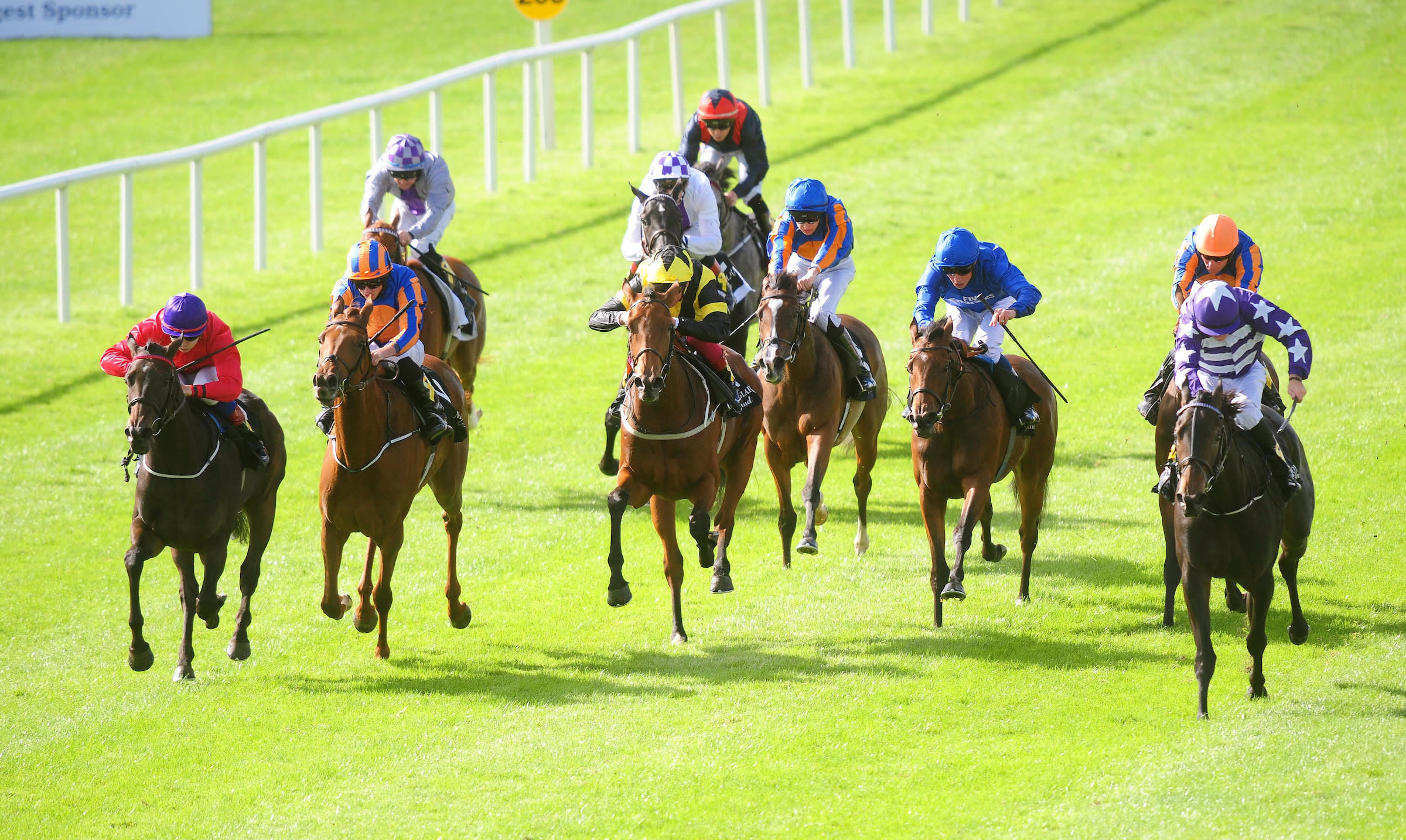 Skitter Skatter the flagship in new beginning for Oxx and Prendergast