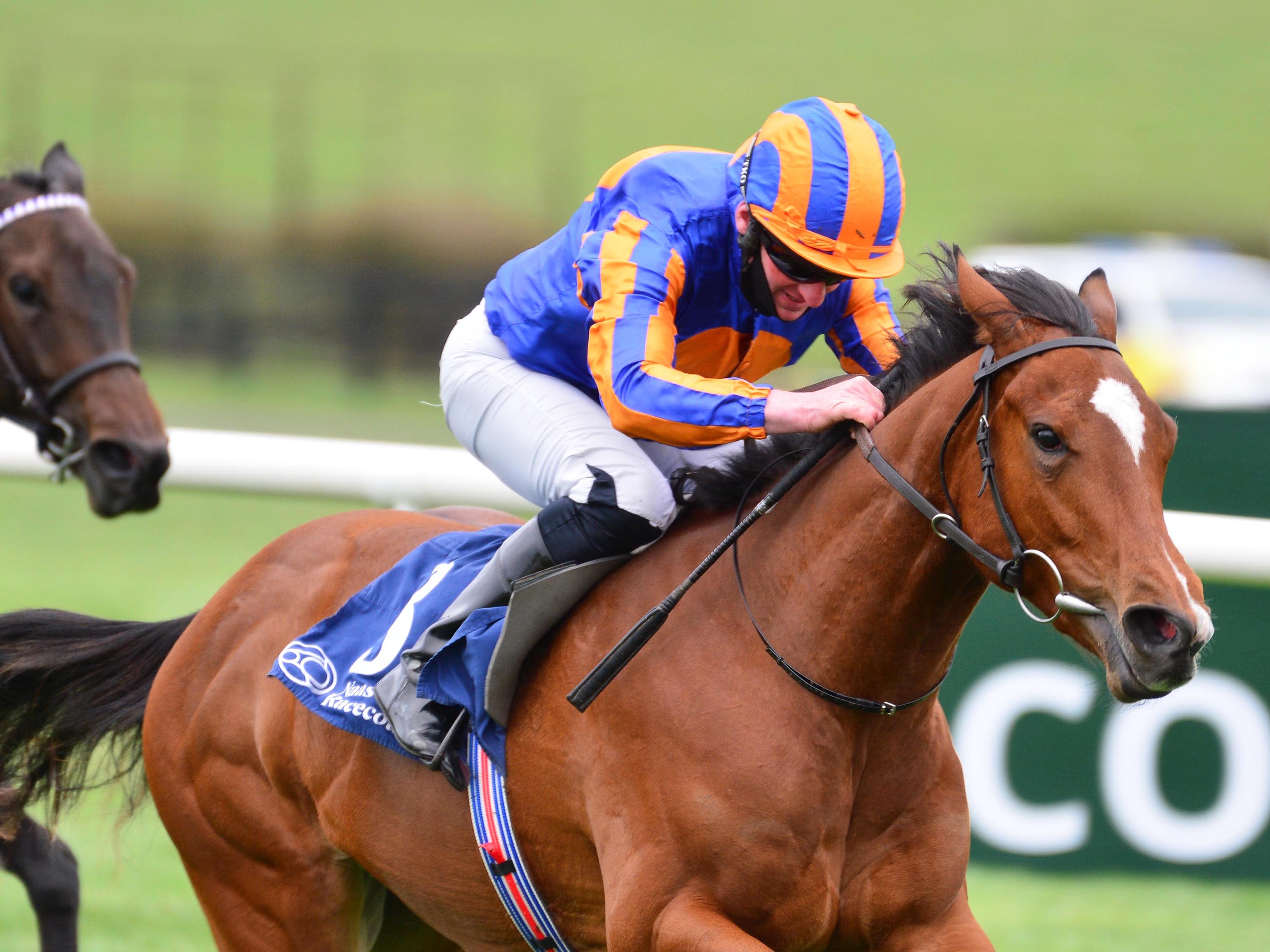 Tenebrism among the possibles for Cork's Easter Festival