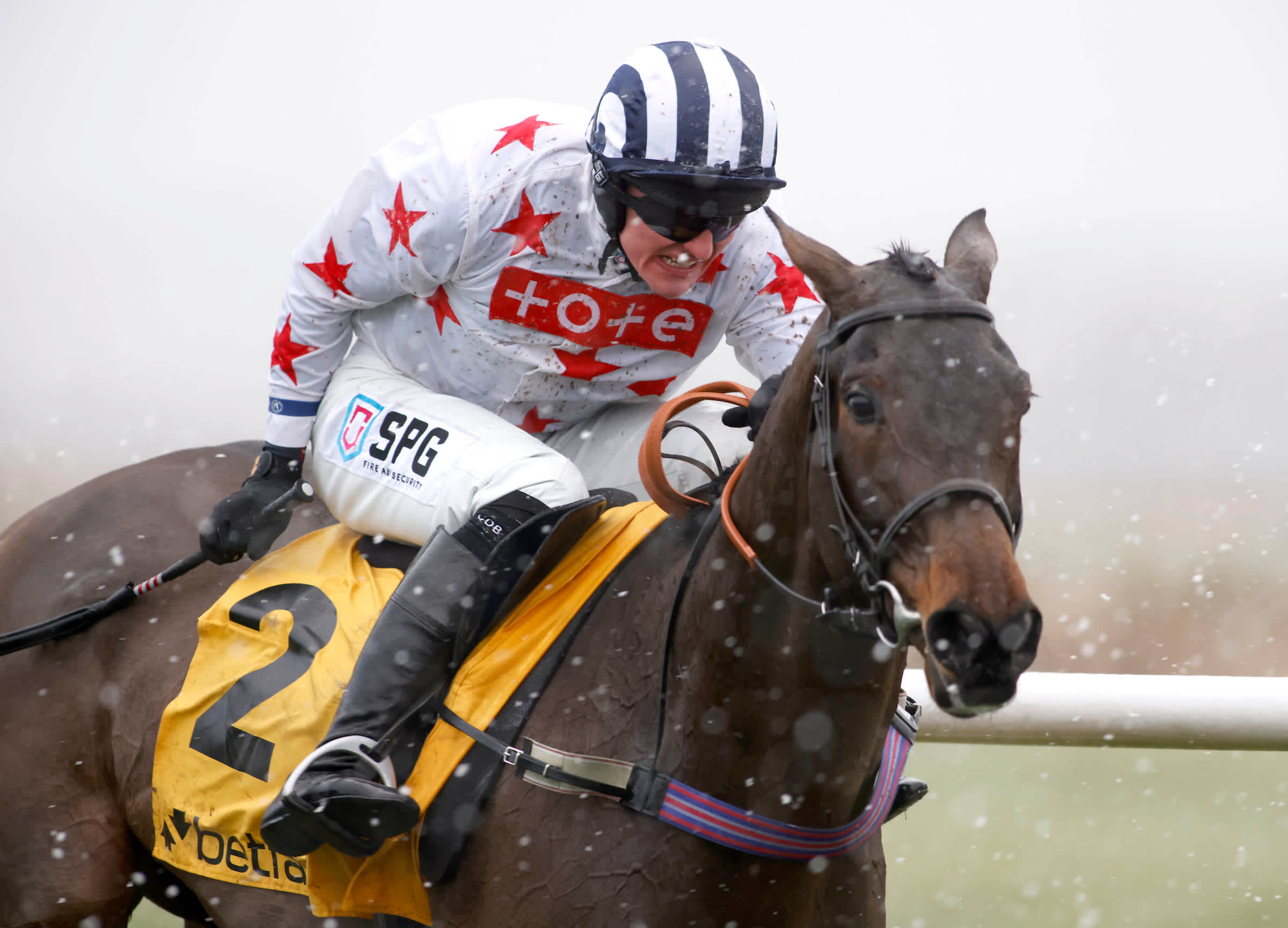 Harriet Graham in a quandary with stable star Aye Right