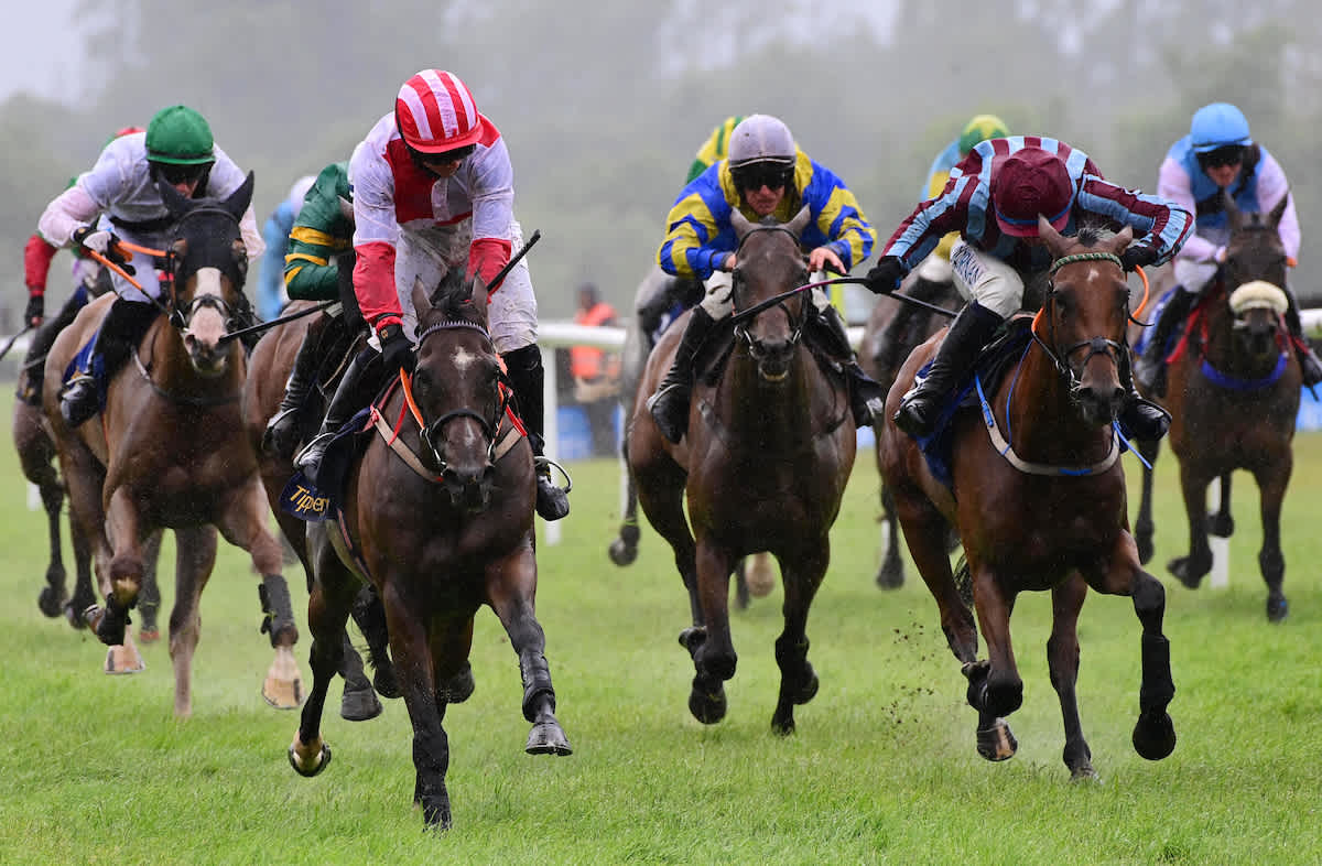 Horse racing tips for Sunday: Angus McNae's four best bets