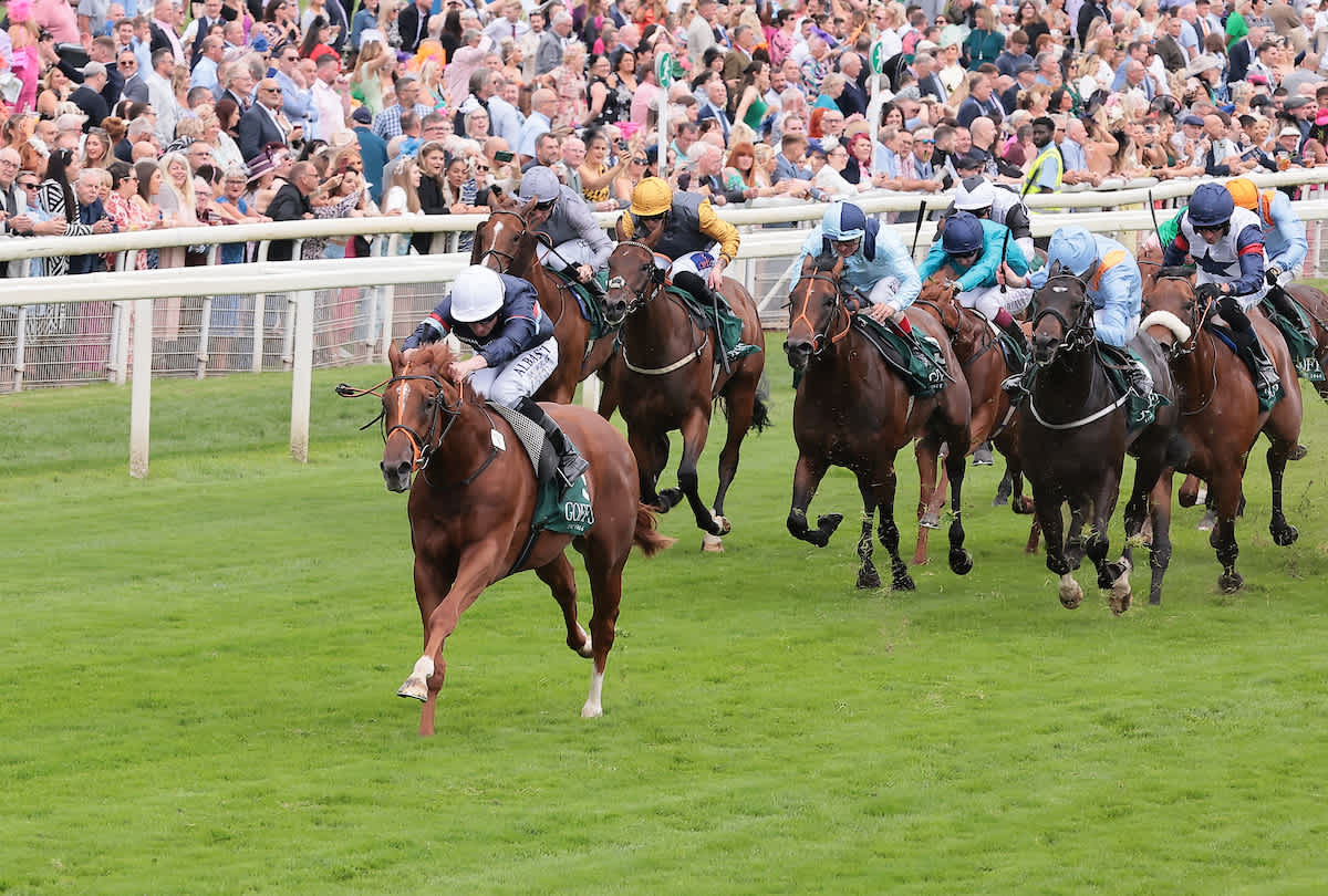 York round-up: Dragon Leader burns off rivals to hit jackpot