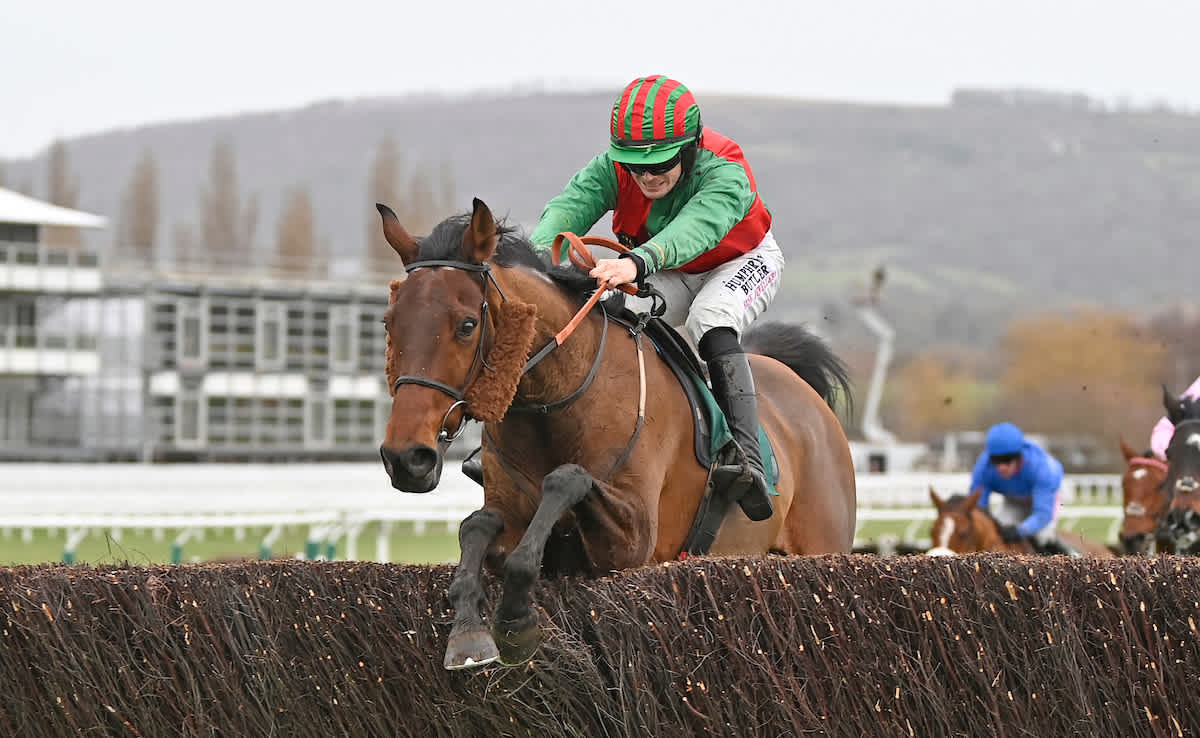 Cheltenham Festival Trials Day: The best bookmaker offers and free bets